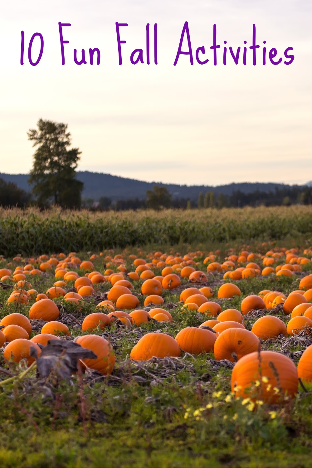 Ten Fun Fall Activities - A Nation of Moms