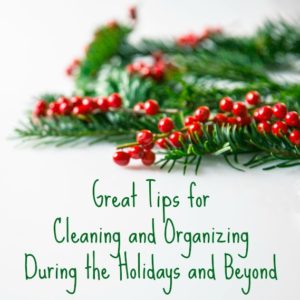 Great Tips for Cleaning and Organizing During the Holidays and Beyond ...