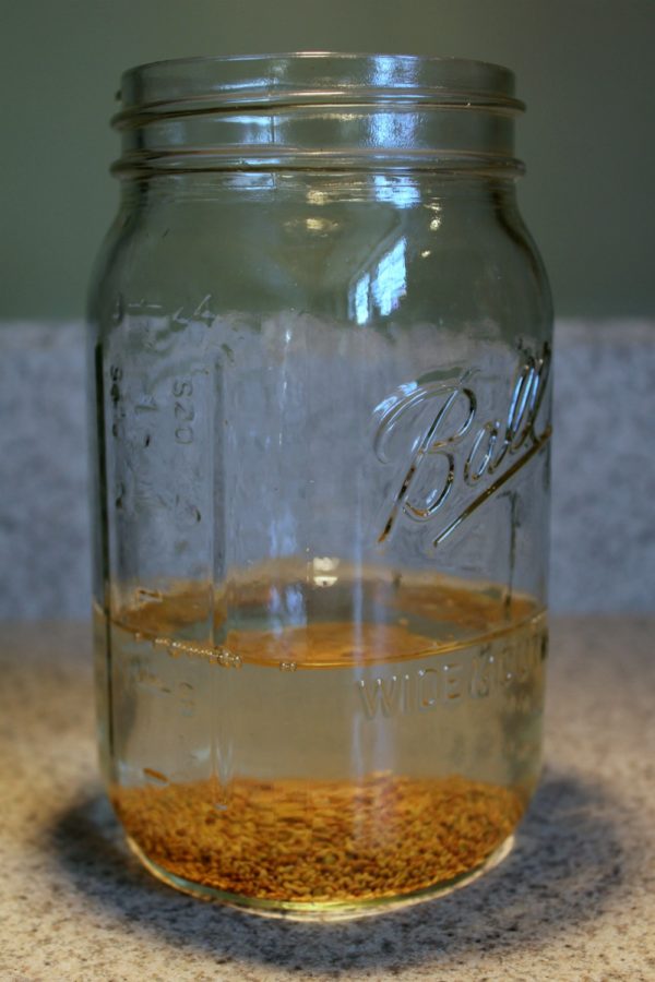 The Basics of Growing Your Own Sprouts - A Nation of Moms