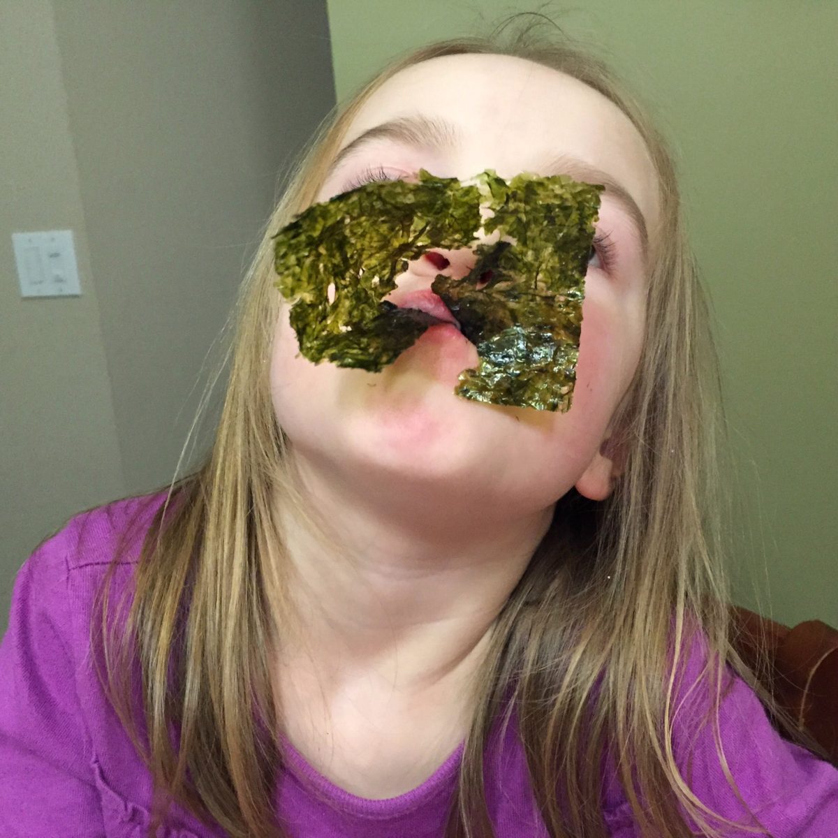Roasted Seaweed Snacks - A Nation of Moms
