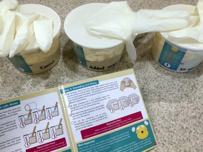 Learning Through Cooking with the DoughLab STEM Kit for Kids - A Nation ...