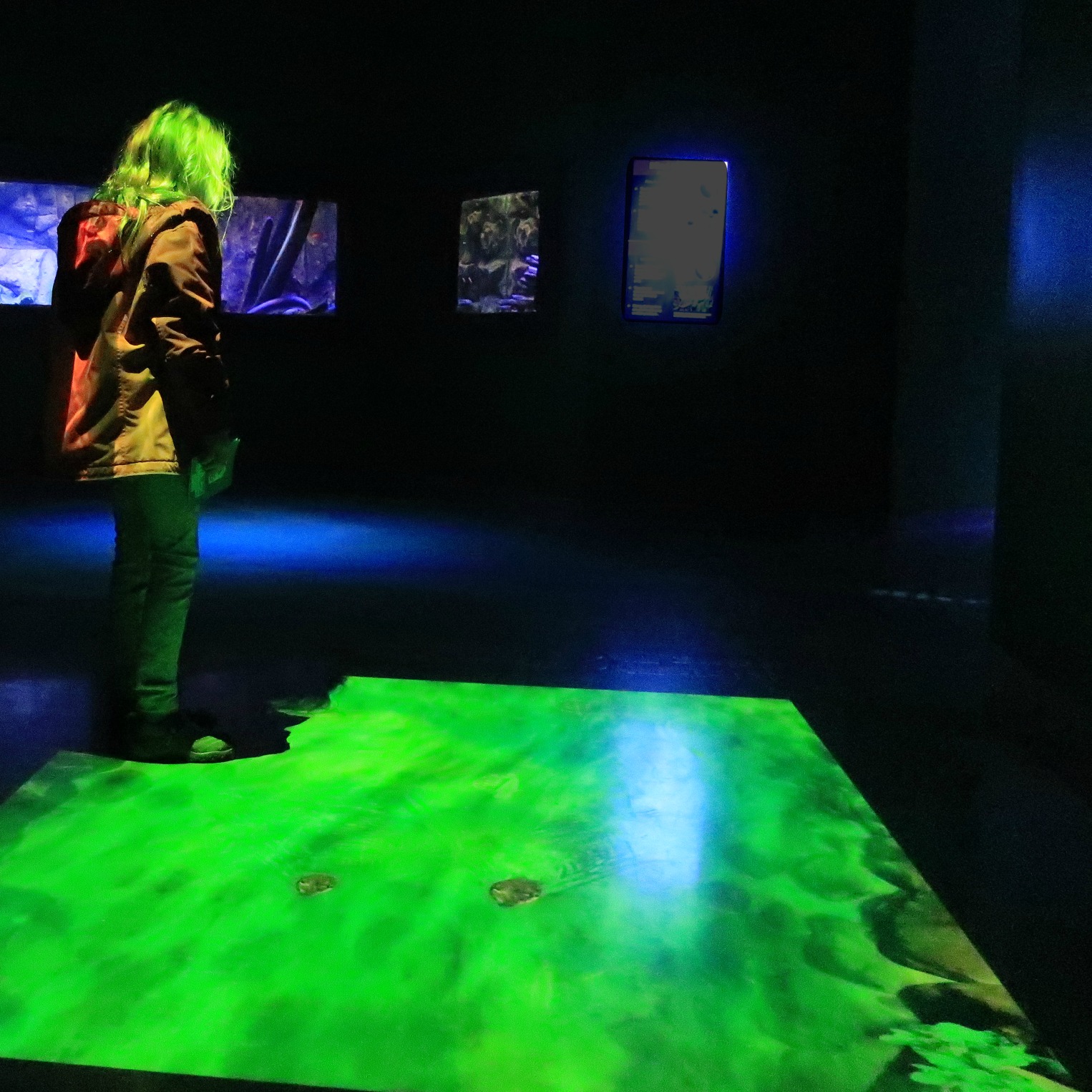 So Much to Explore at Via Aquarium! Rotterdam, NY – A Nation of Moms