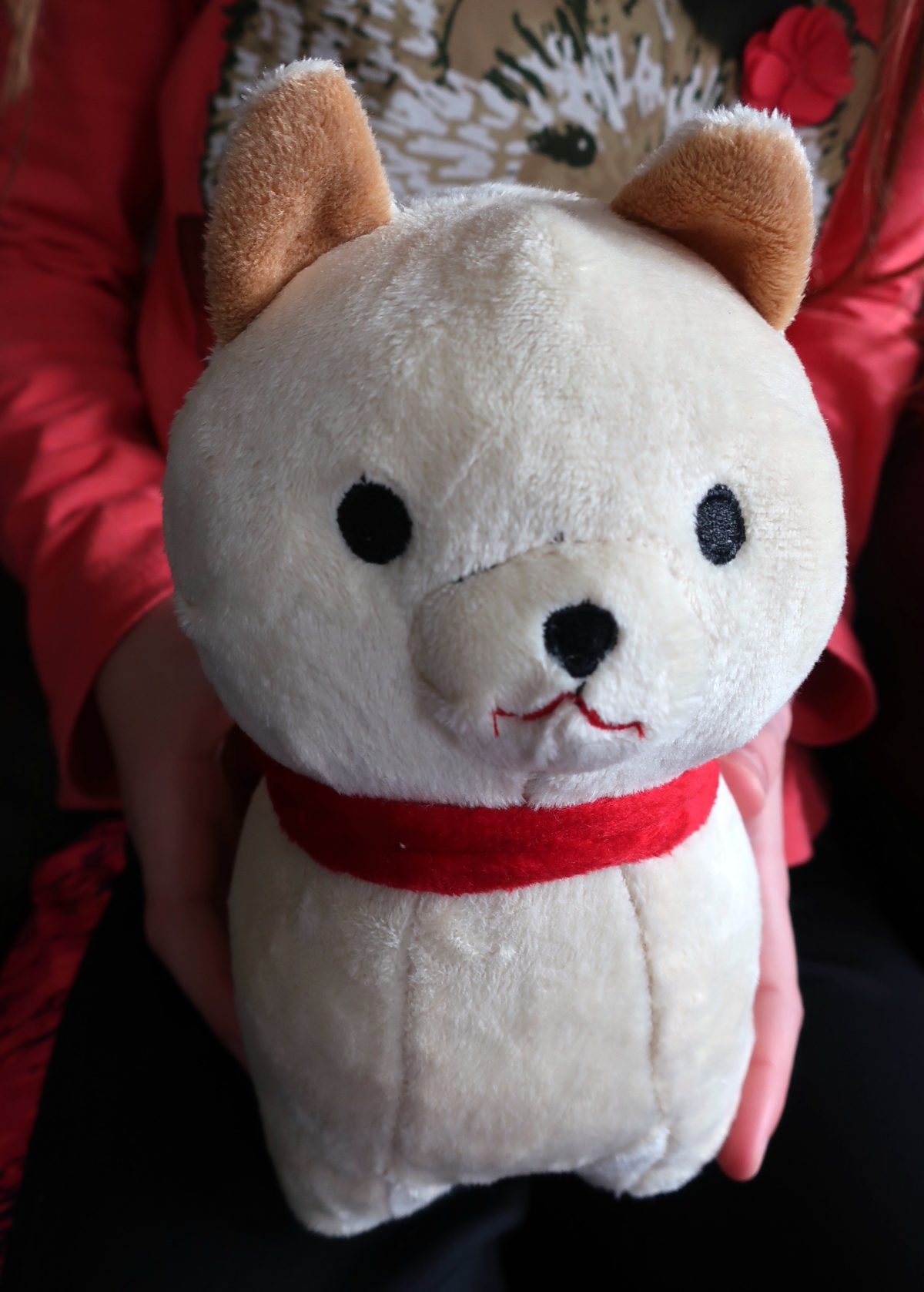 Doki Doki by Japan Crate: Kawaii Subscription Box Review - A Nation of Moms