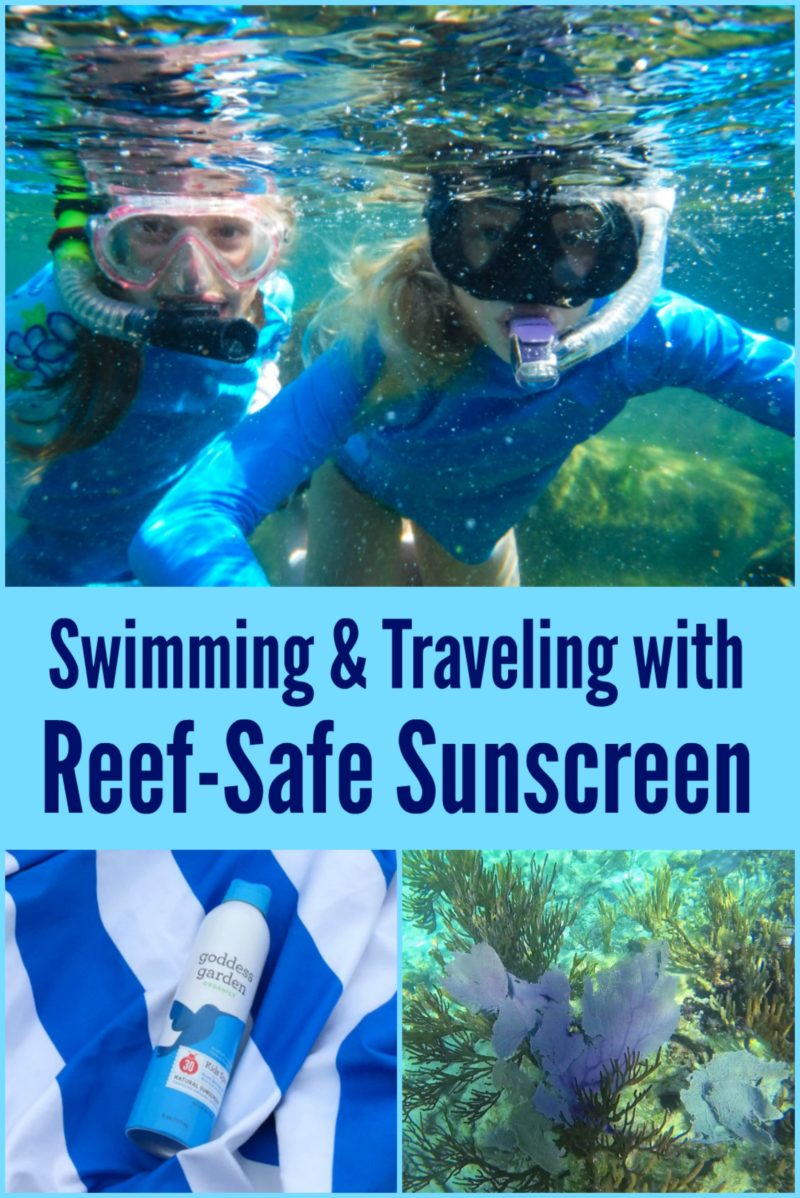 Tips for Swimming and Traveling with Reef-Safe Sunscreen - A Nation of Moms