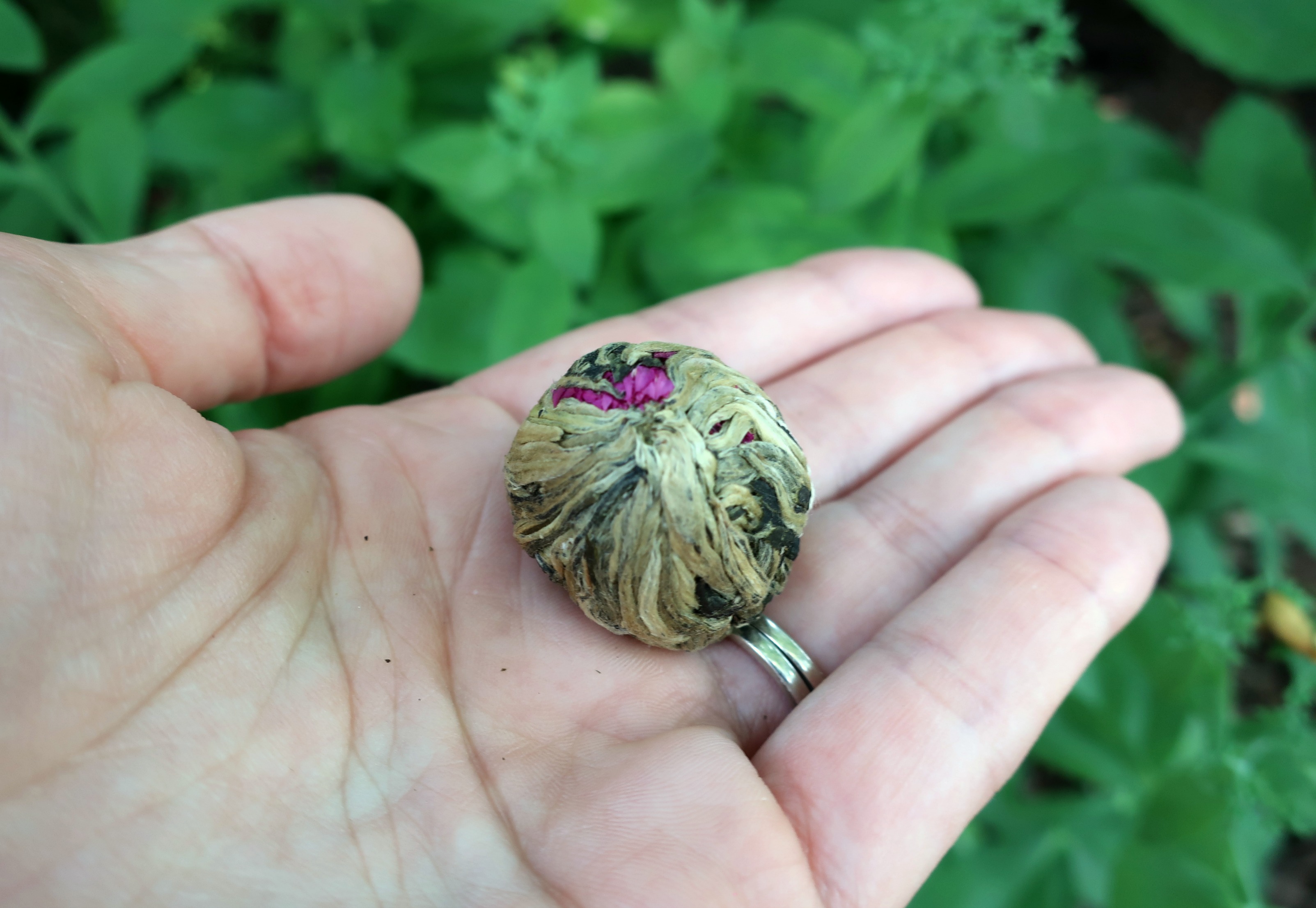 Blooming Teas and More from Teabloom - A Nation of Moms