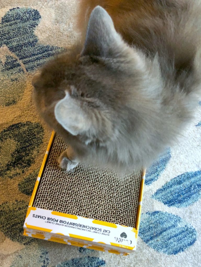 OurPets Alpine Climb Cat Scratcher from Chewy.com - A Nation of Moms