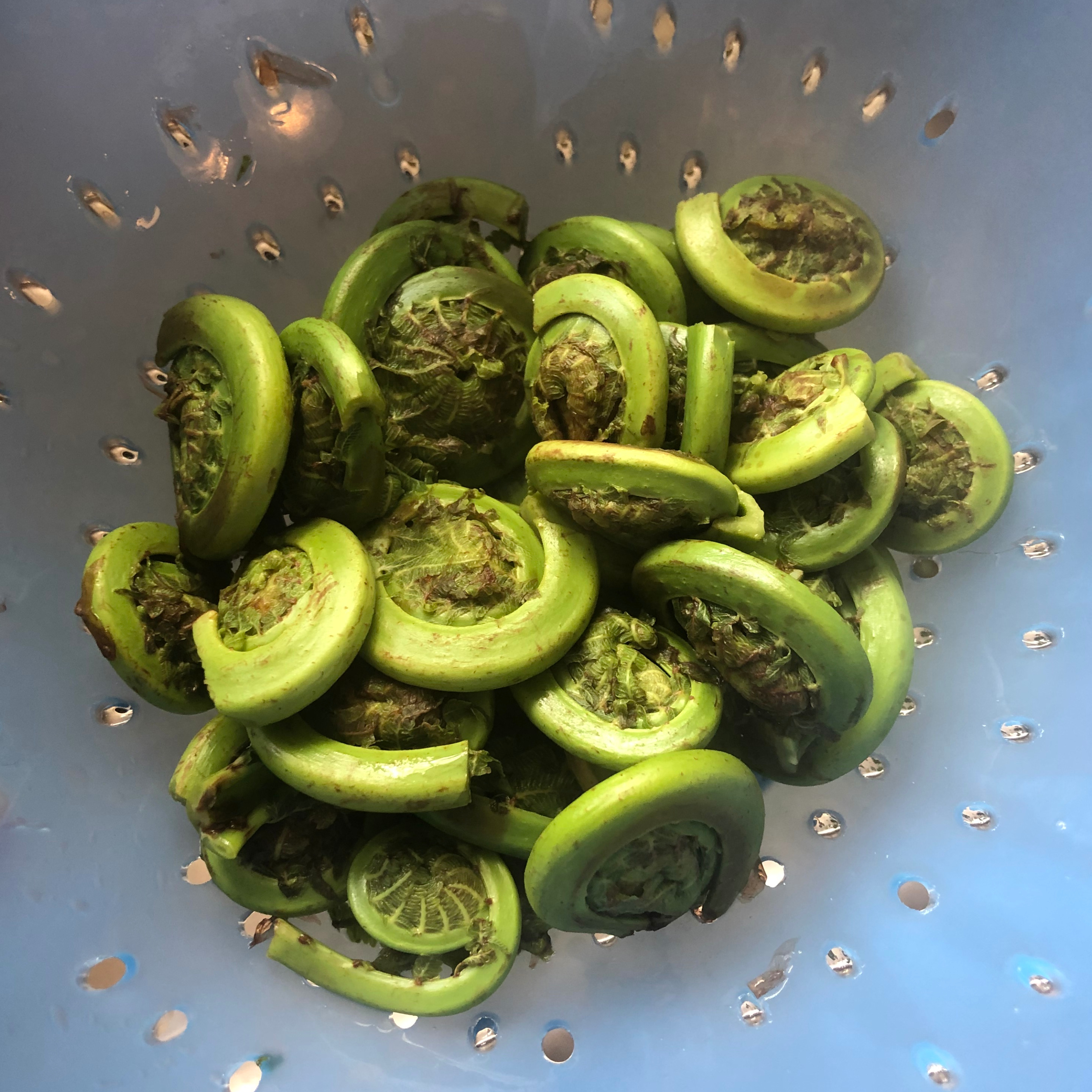 Fiddleheads Sautéed with Butter and Lemon - A Nation of Moms