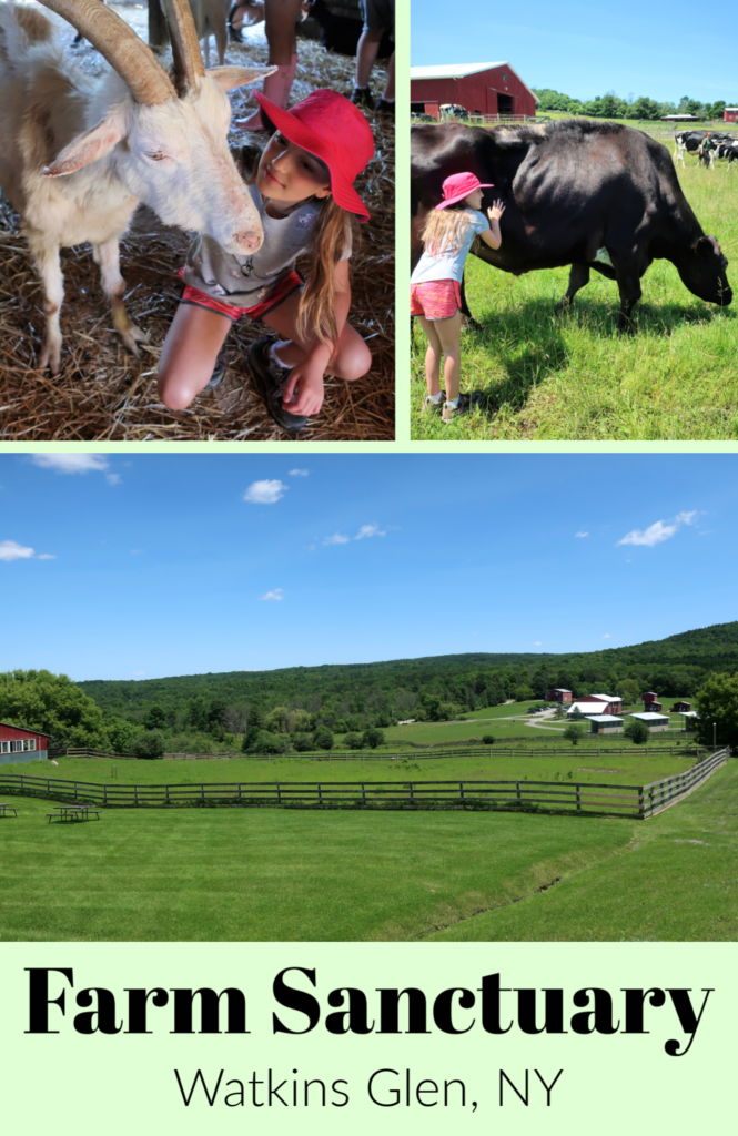 Farm Sanctuary, Watkins Glen, NY - A Nation of Moms