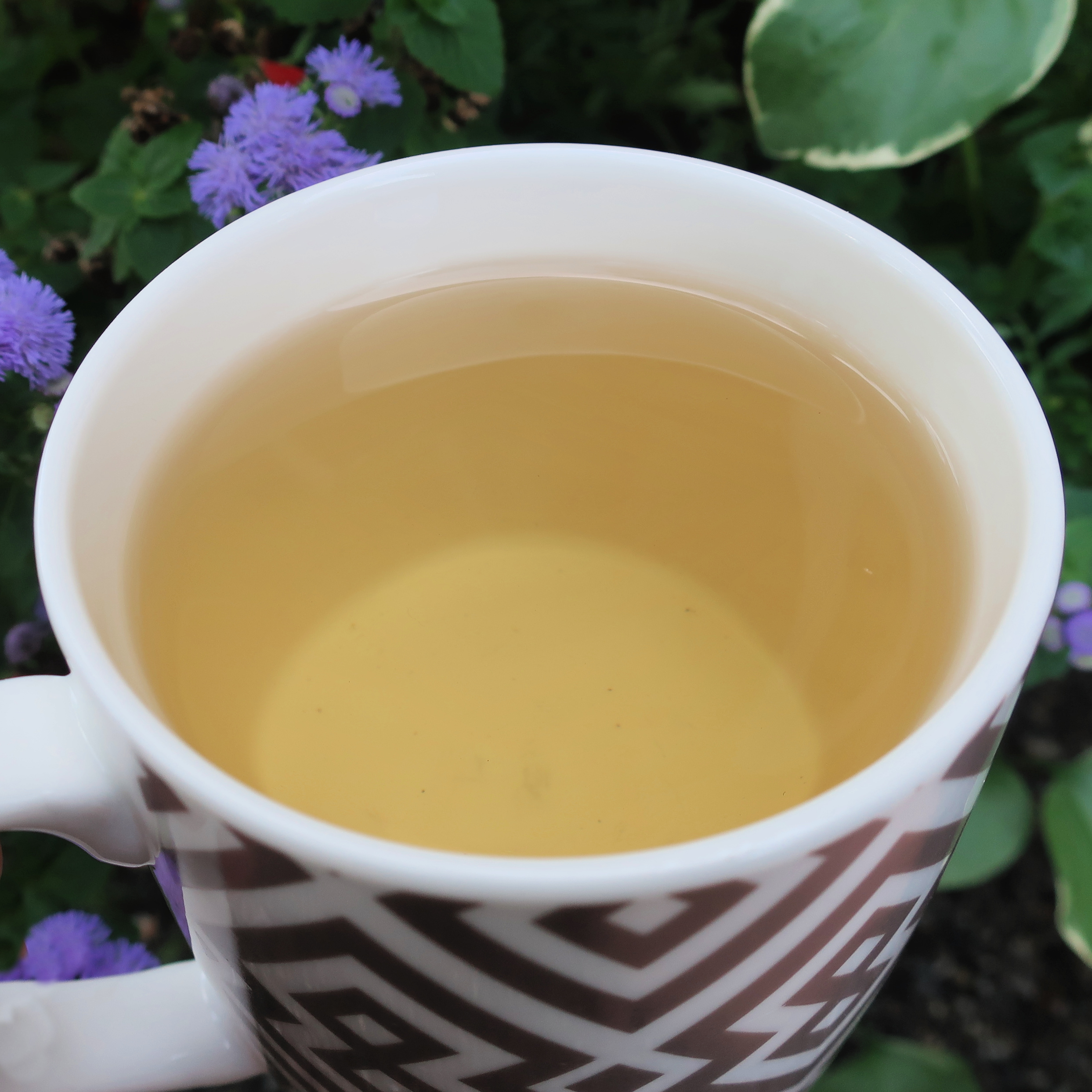 Masters Teas by Adagio - A Nation of Moms