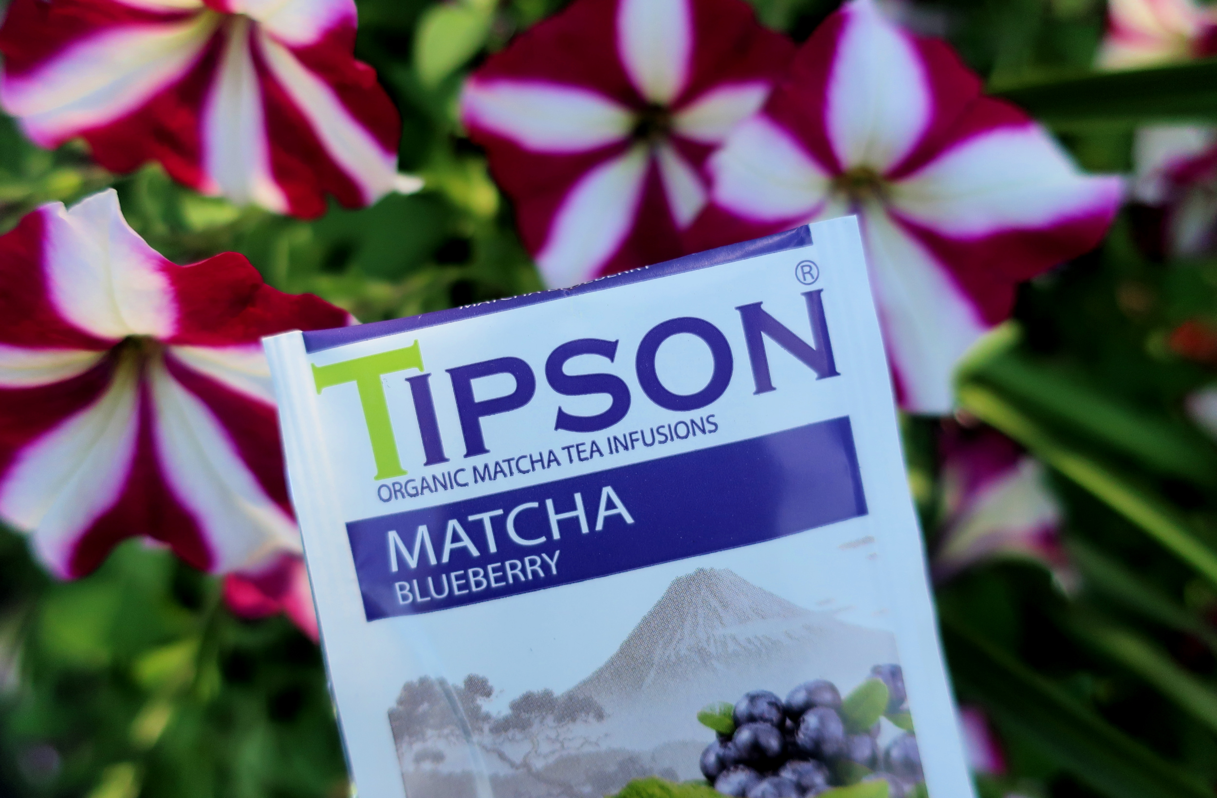Tipson Teas: Organic Teas to Boost Your Health! - A Nation of Moms