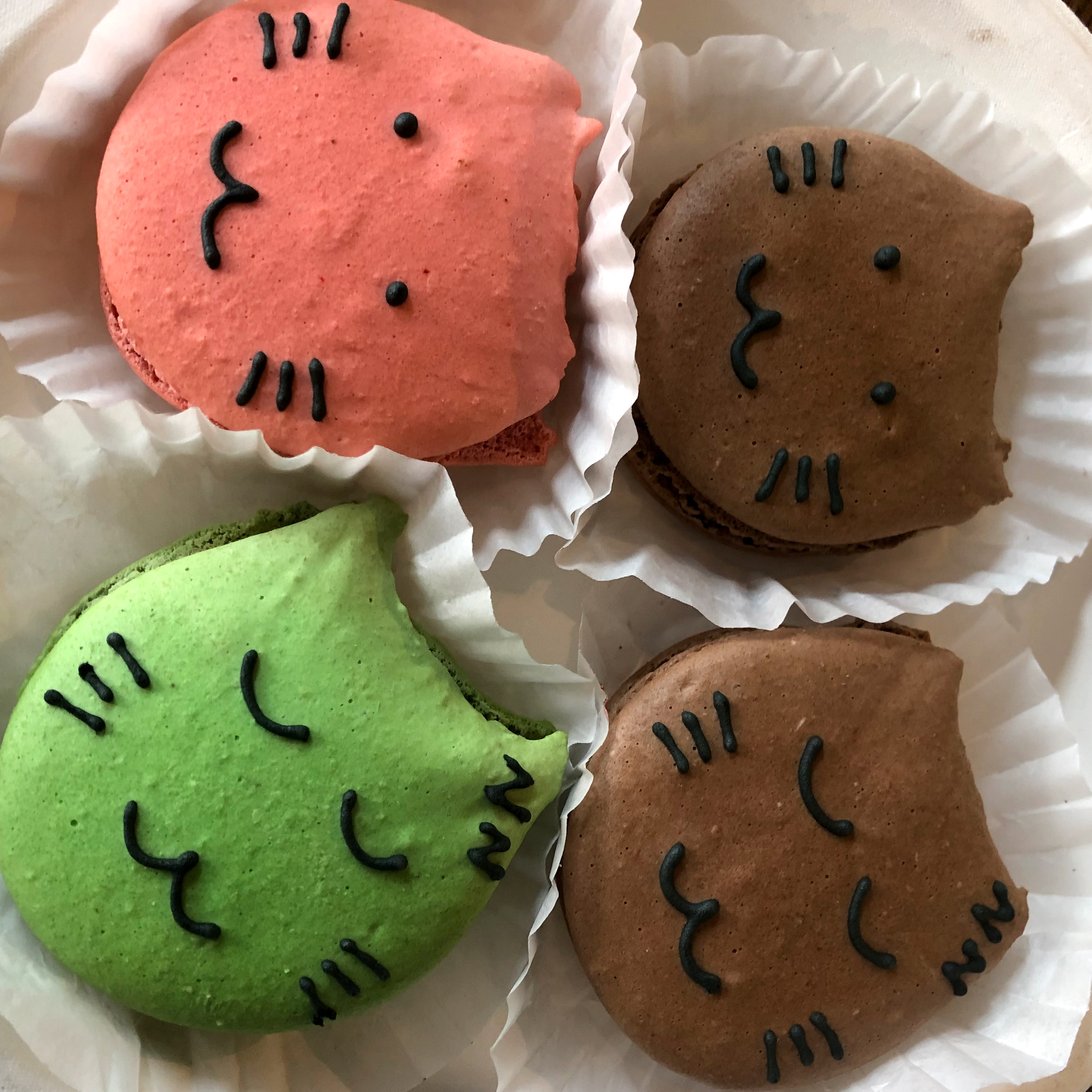 Seattle Meowtropolitan Cat Cafe - A Nation of Moms