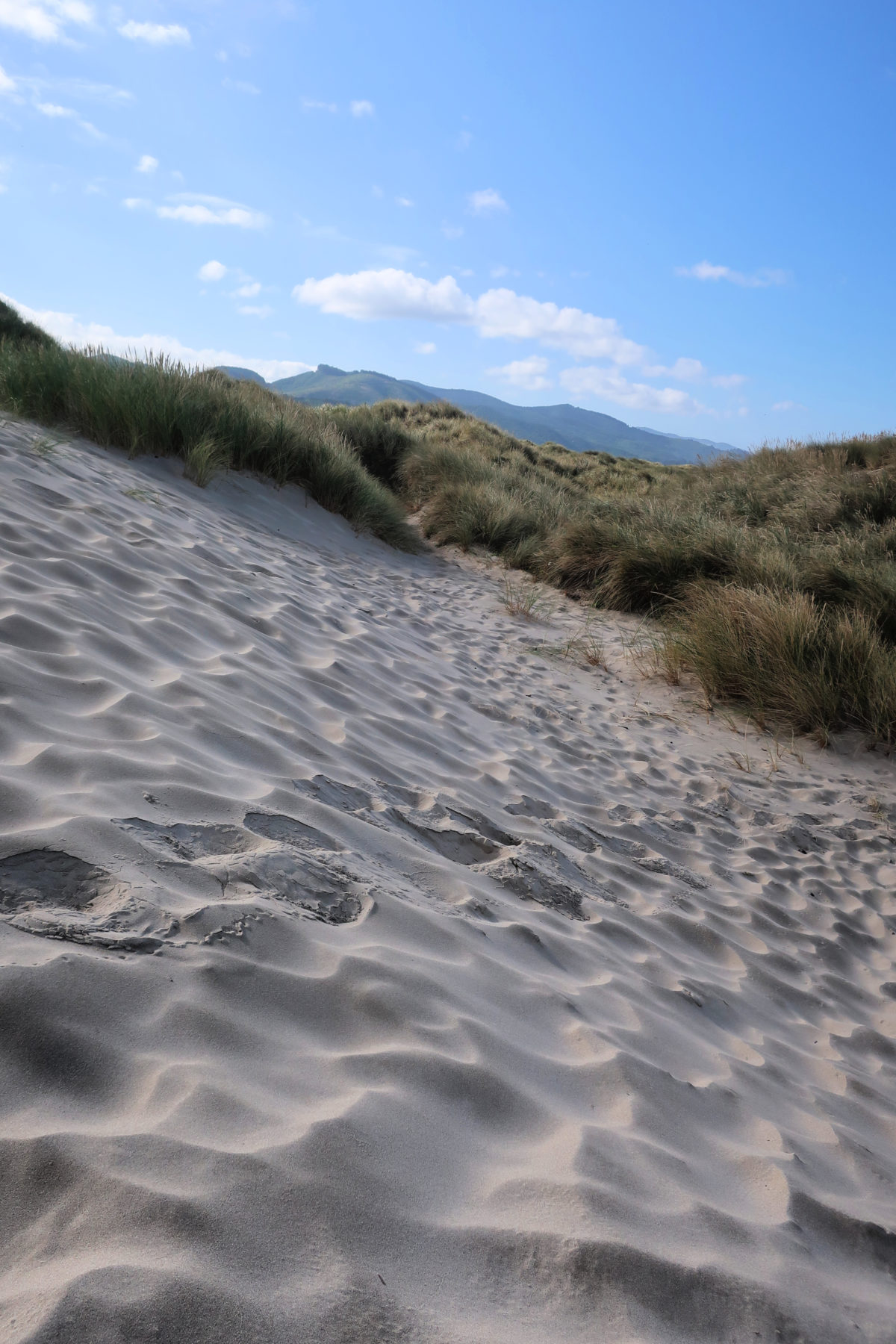 Nehalem Bay State Park, Oregon – A Nation of Moms