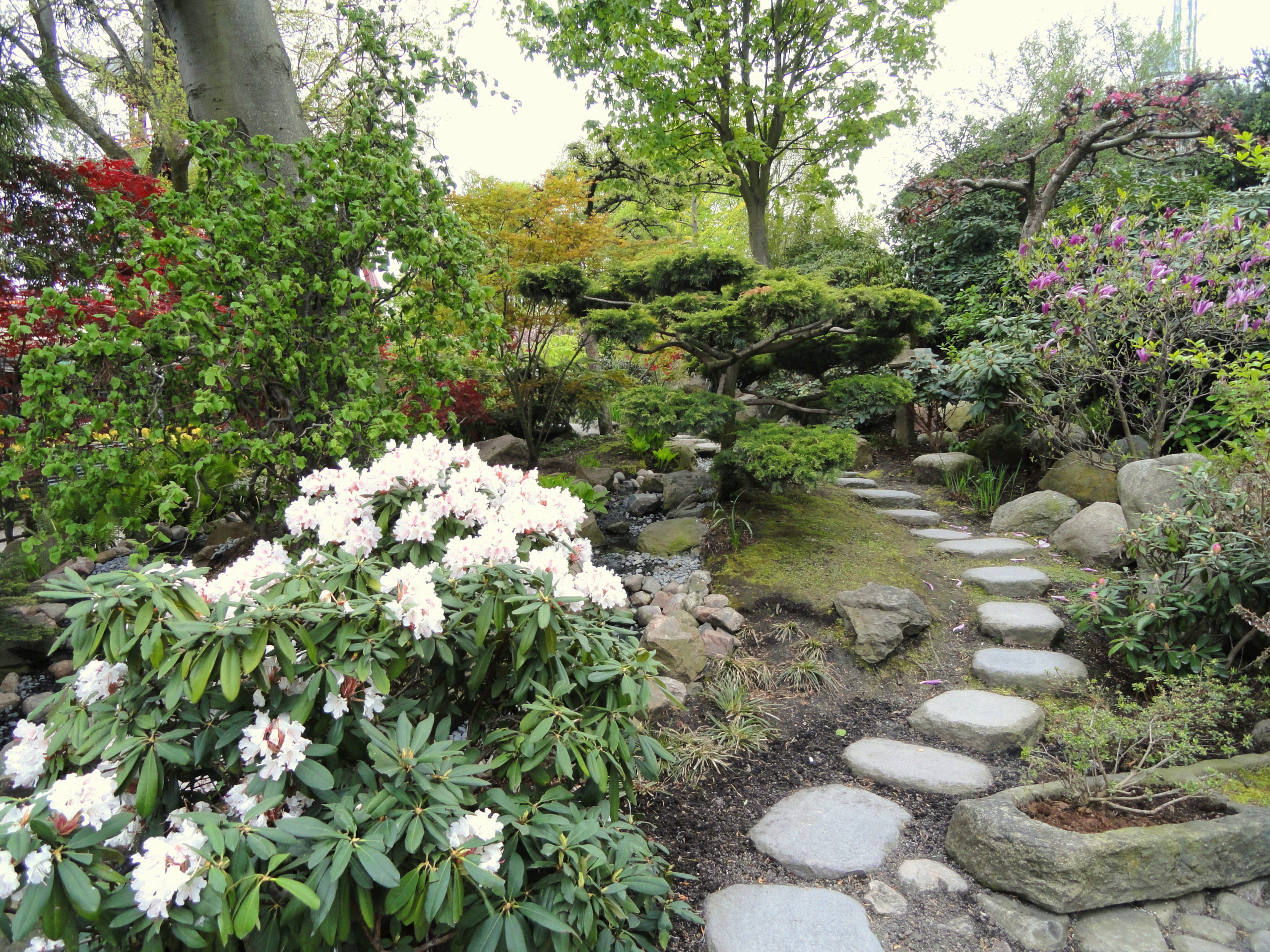 10 Ideas to Help You Design Your Dream Landscaping - A Nation of Moms