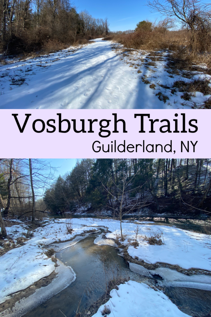 Town of Guilderland Vosburgh Trails - A Nation of Moms