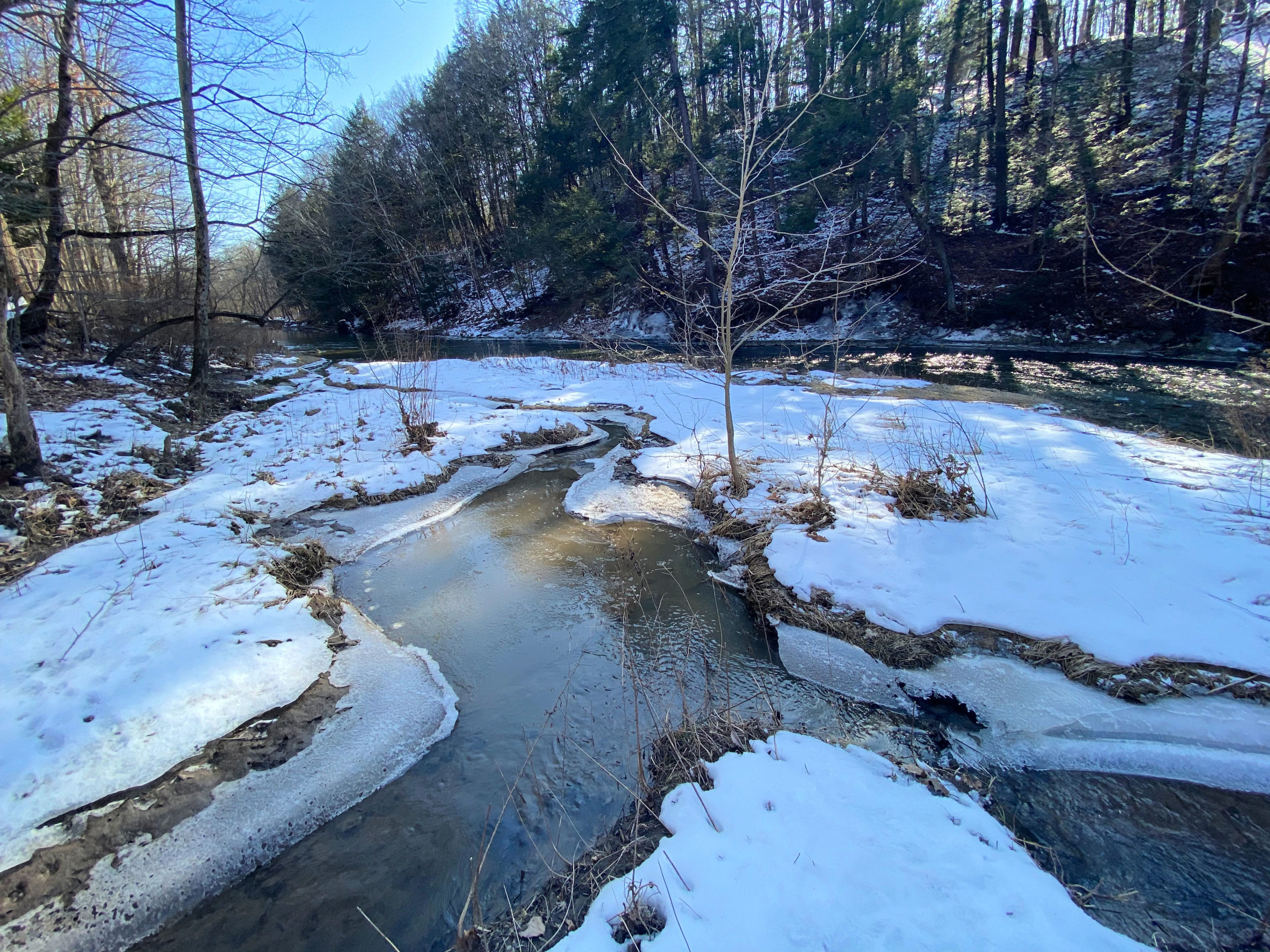 Town of Guilderland Vosburgh Trails - A Nation of Moms
