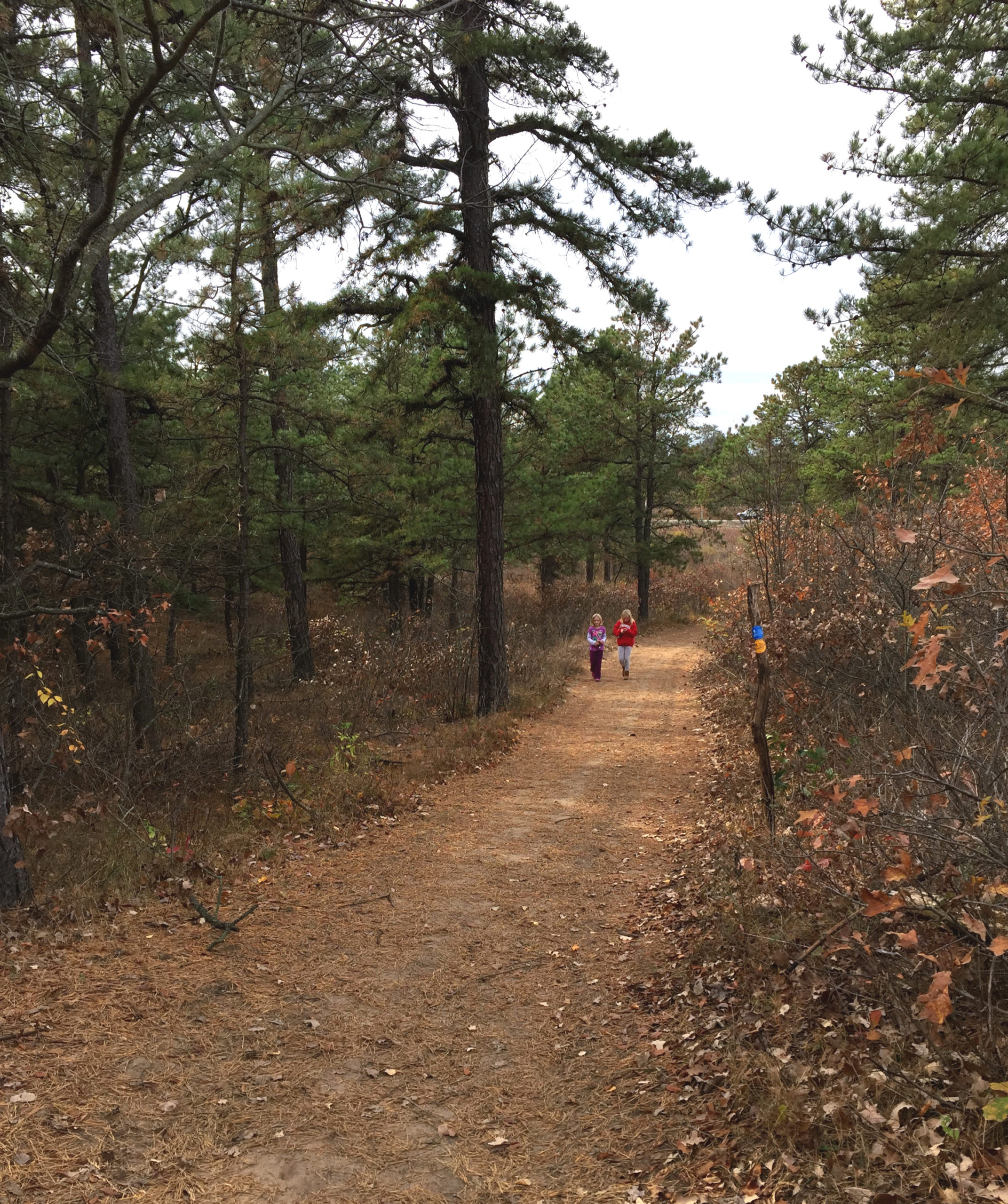 Albany Pine Bush, NY - A Nation of Moms