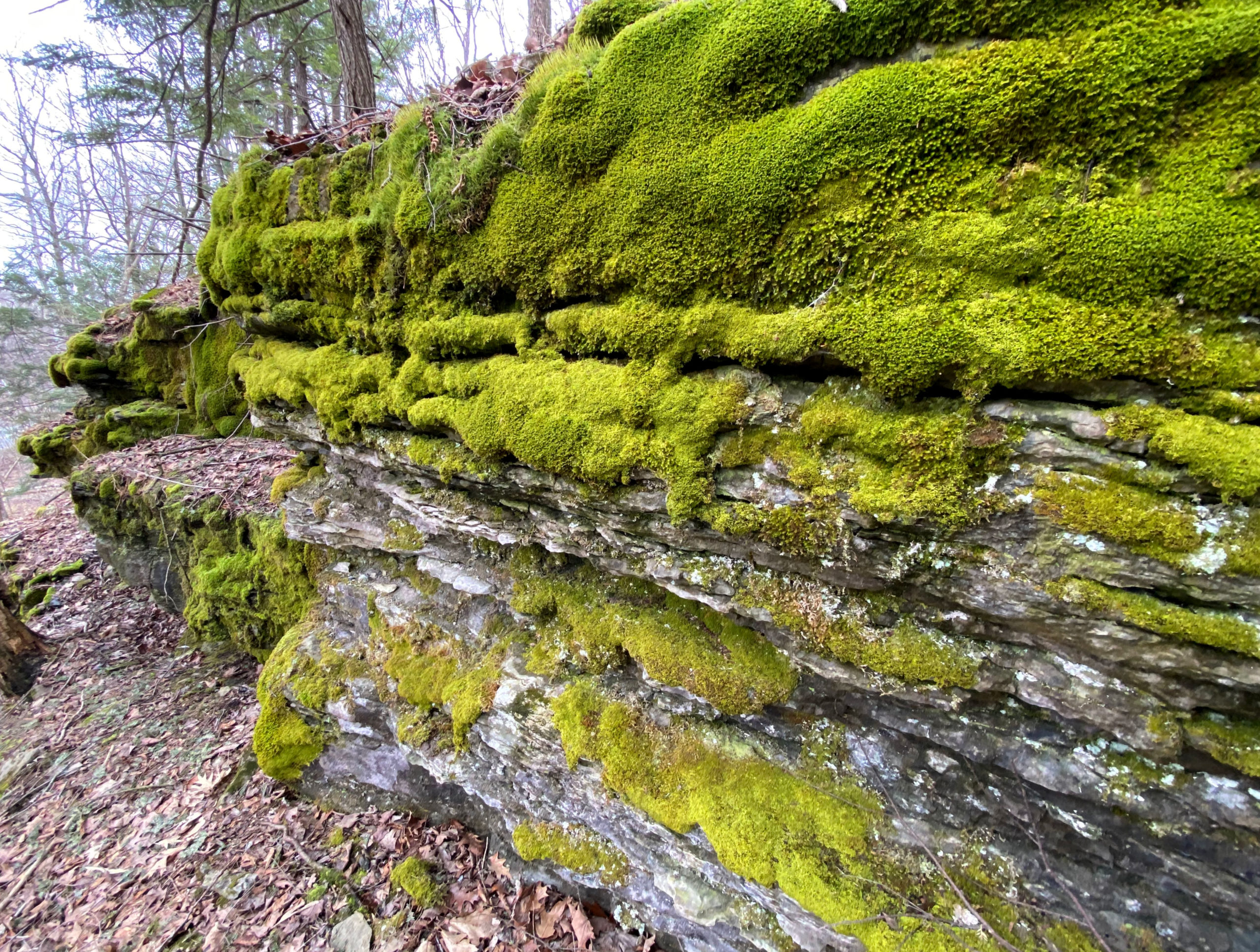 Limestone Rise Preserve, Knox, NY - A Nation of Moms