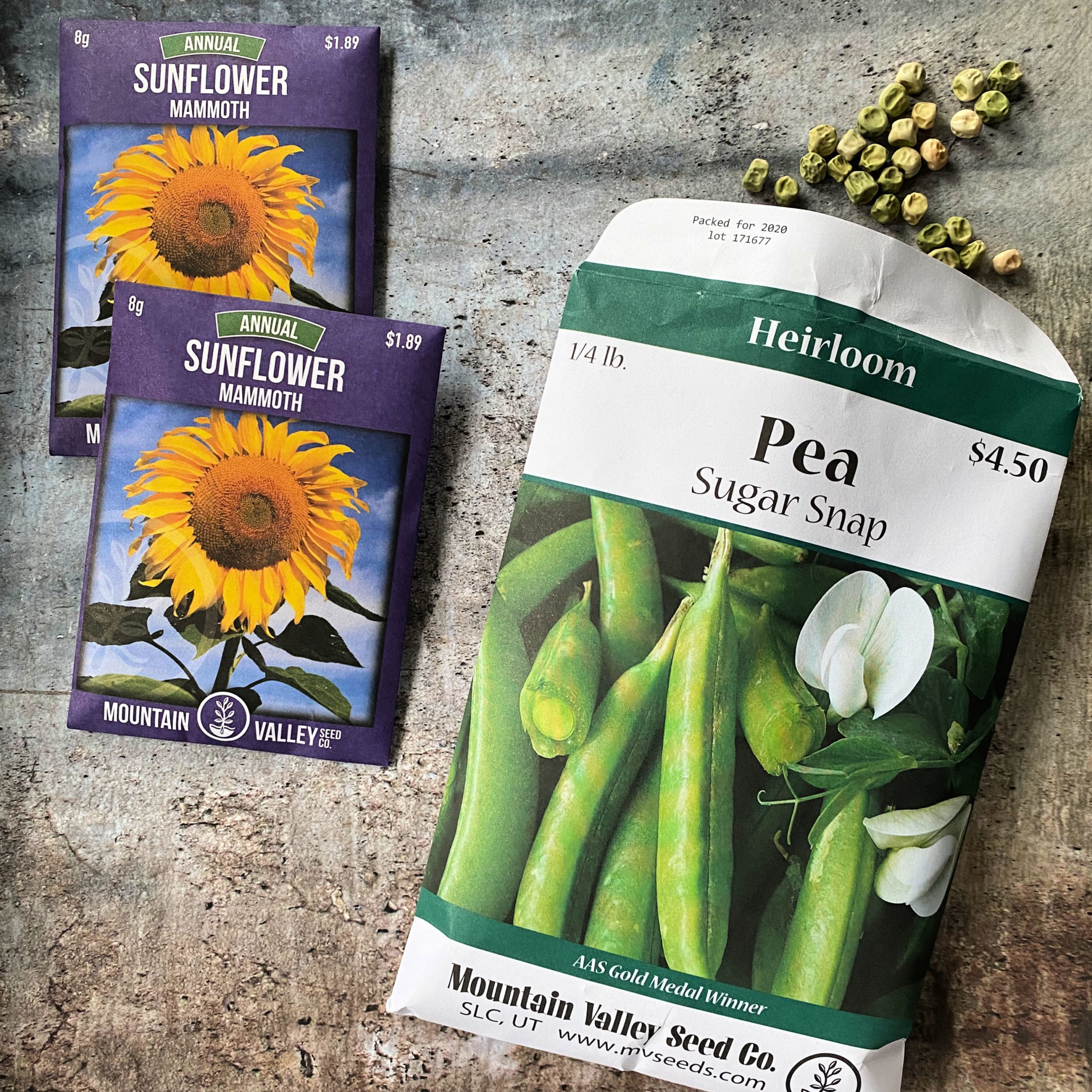 Gardening with True Leaf Market - A Nation of Moms