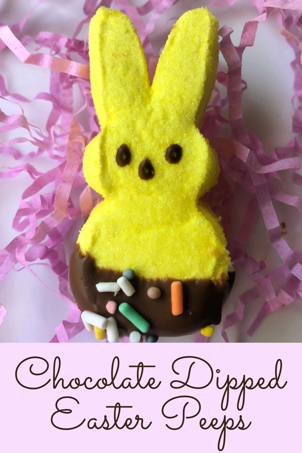 Chocolate Dipped Easter Peeps - A Nation of Moms