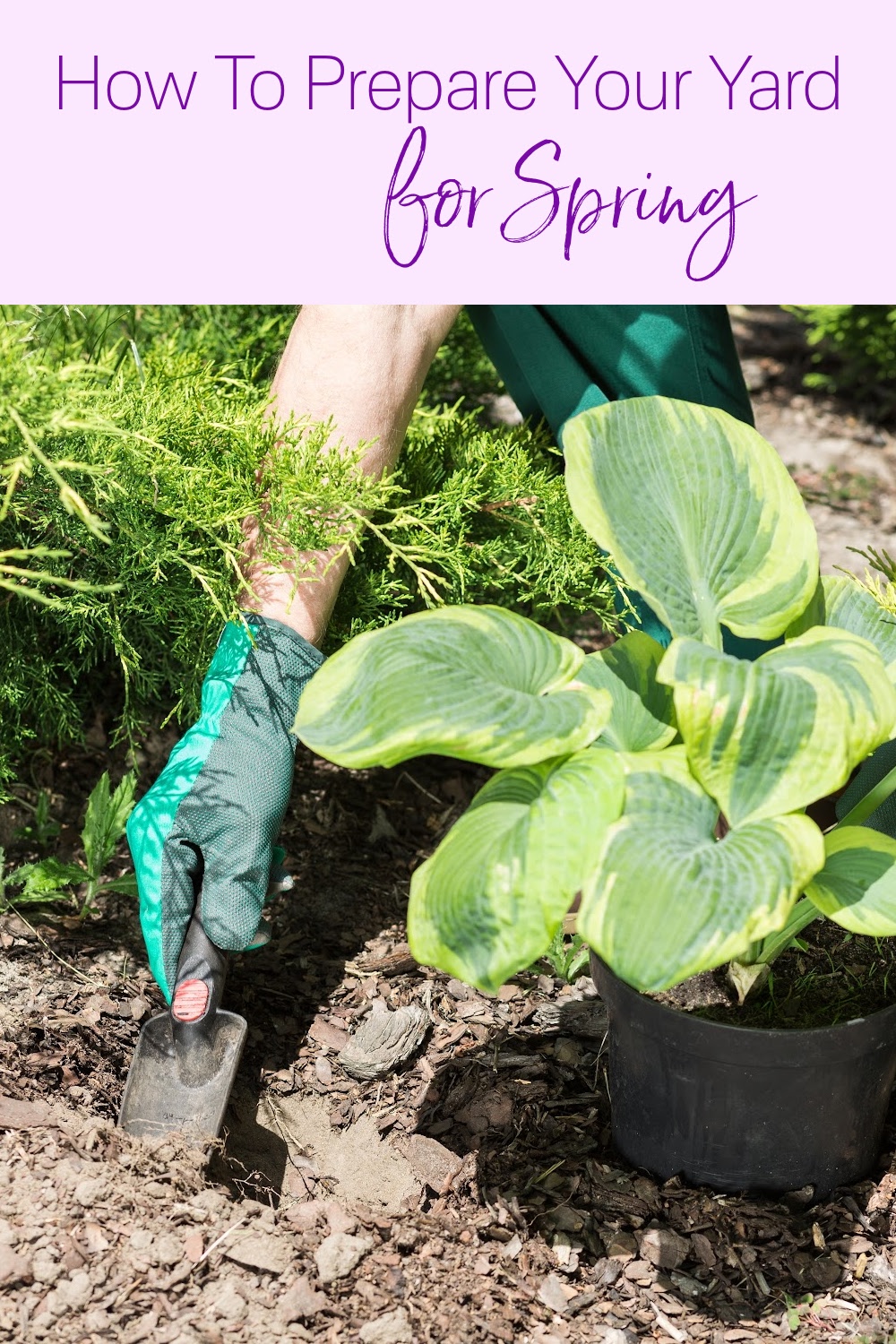How to Prepare Your Yard and Garden for Spring - A Nation of Moms