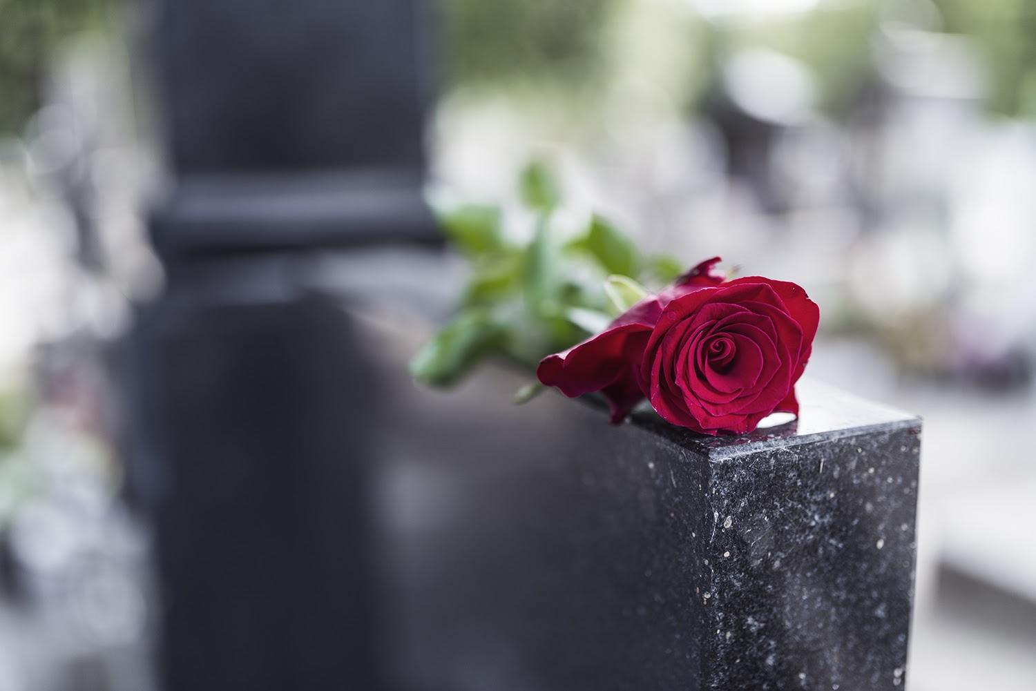 5 Ways To Cope With The Loss Of A Loved One - A Nation of Moms