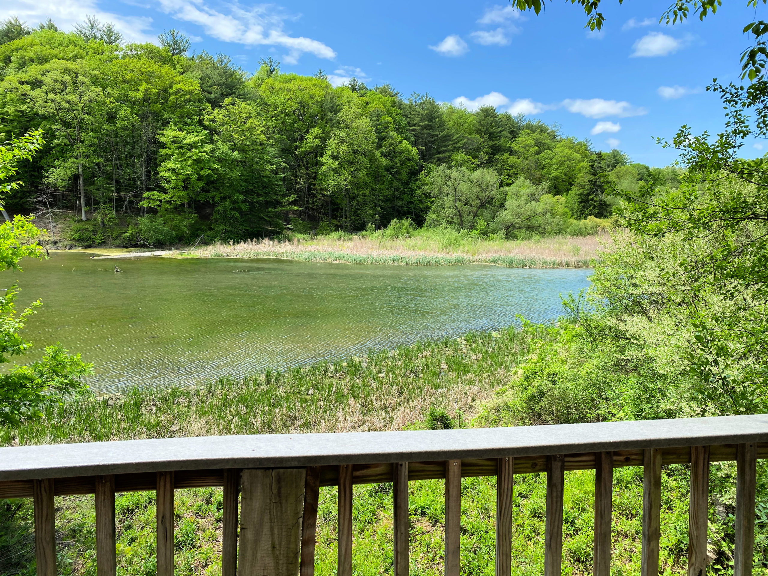 Five Rivers Environmental Education Center & Trails, Delmar, NY - A ...