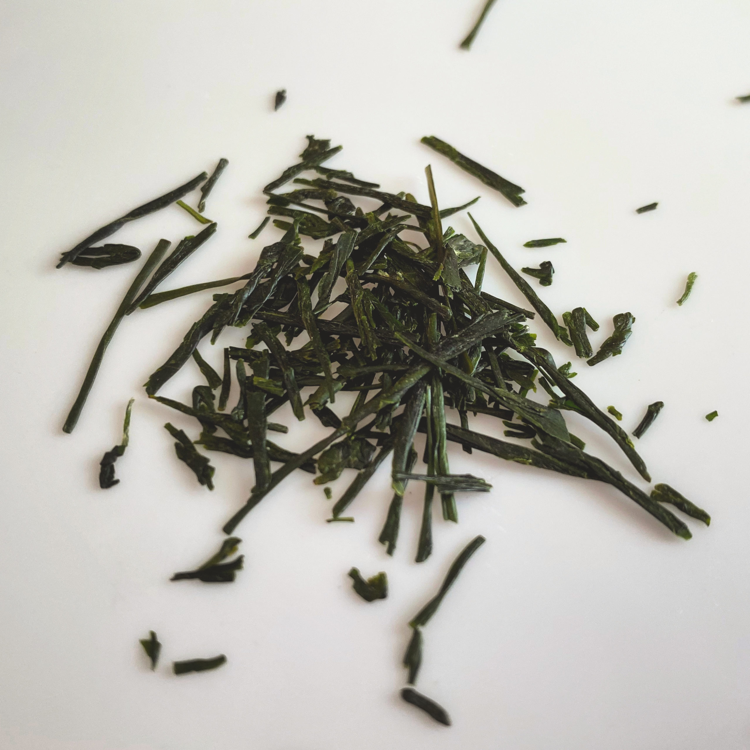 Master's Teas: So Many Amazing Teas! - A Nation of Moms