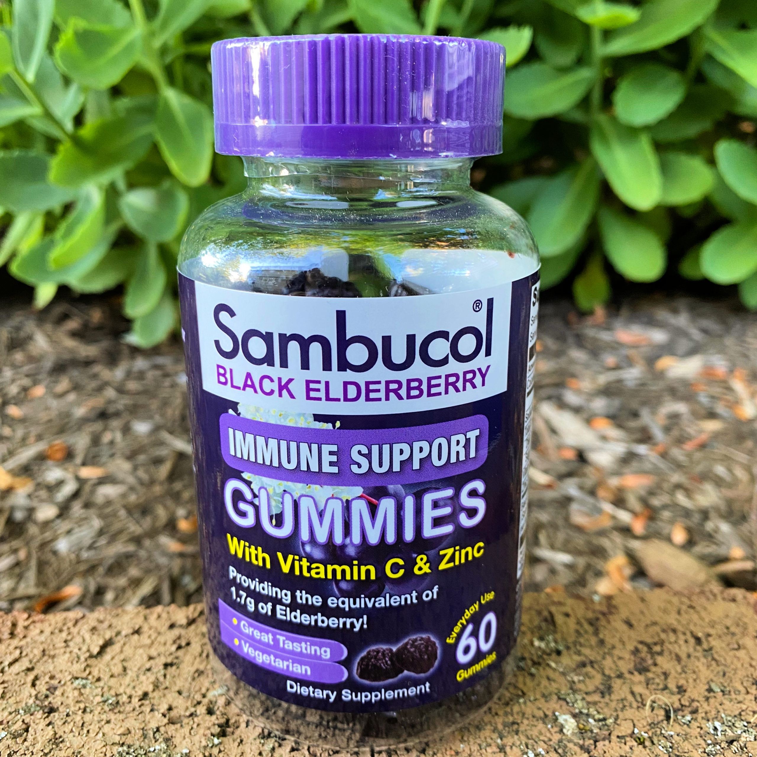 Sambucol Black Elderberry Health Products - A Nation of Moms