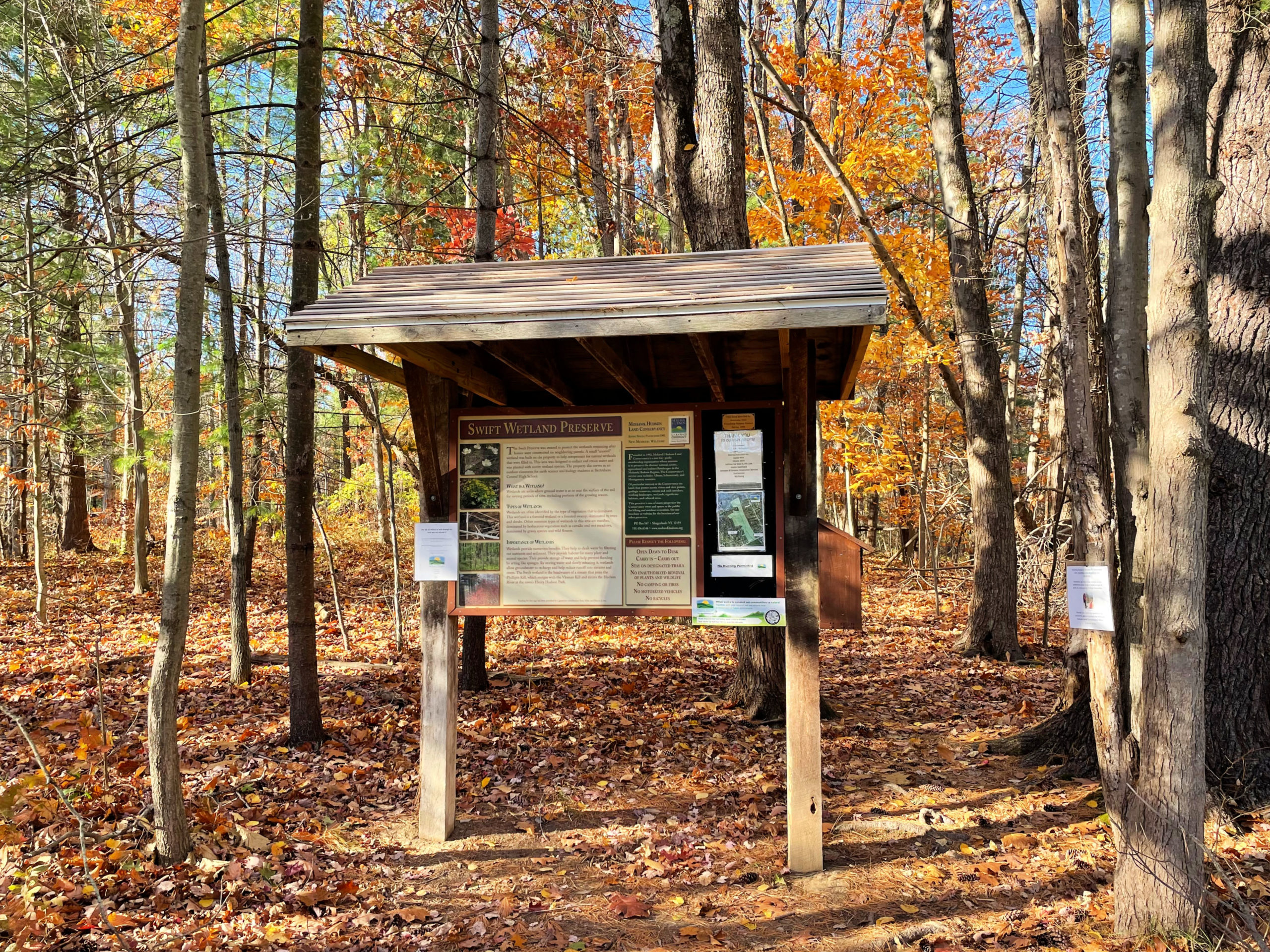 Swift Wetland, Delmar, NY - A Nation of Moms