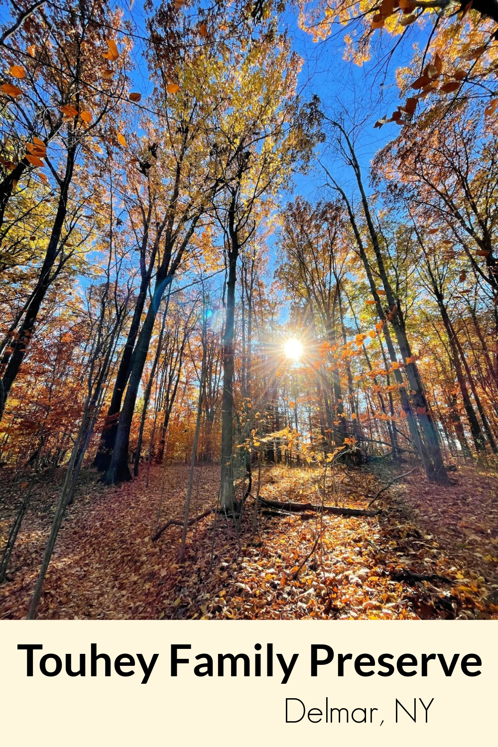 Touhey Family Preserve, Delmar, NY - A Nation of Moms
