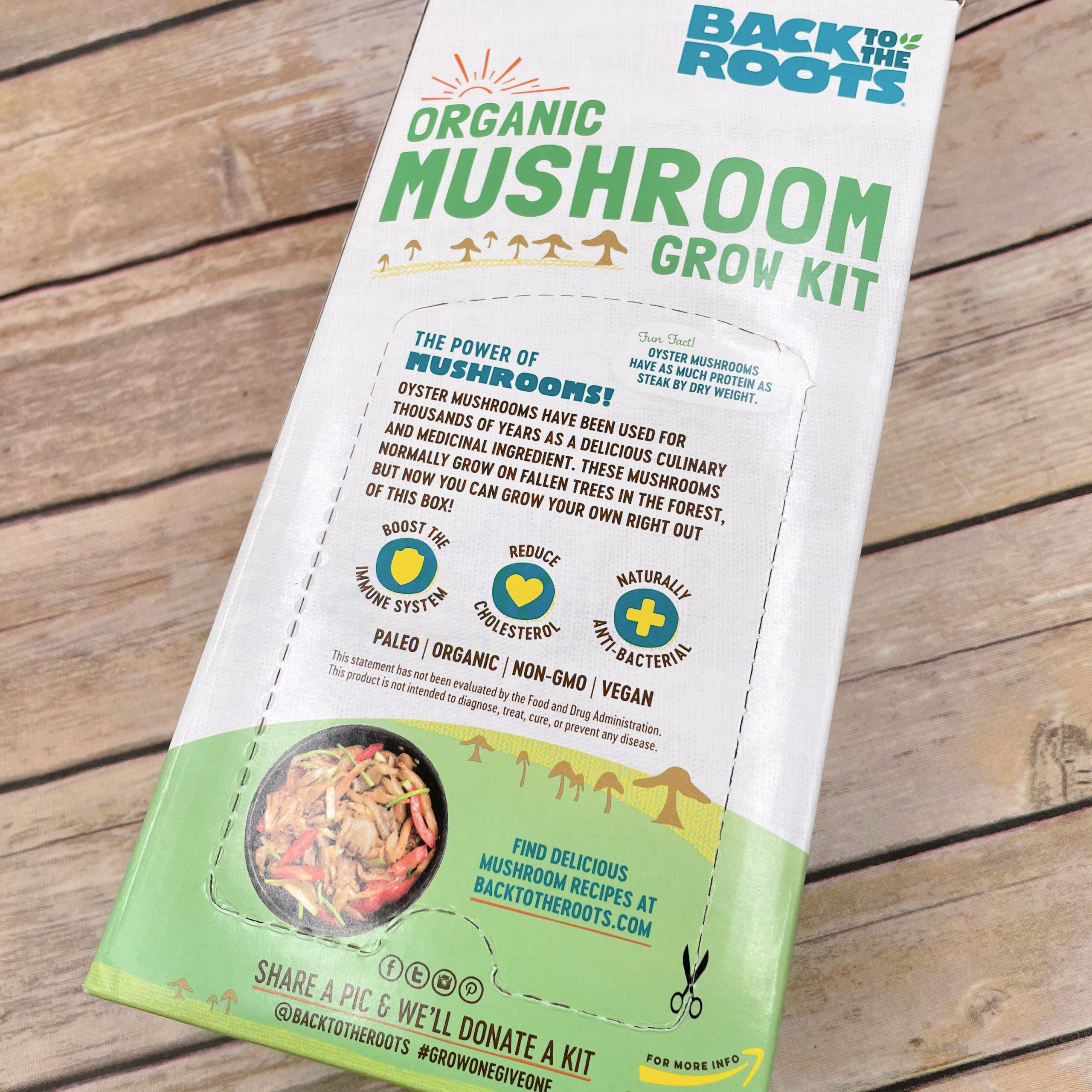 Back to the Roots Mushroom Kits - A Nation of Moms