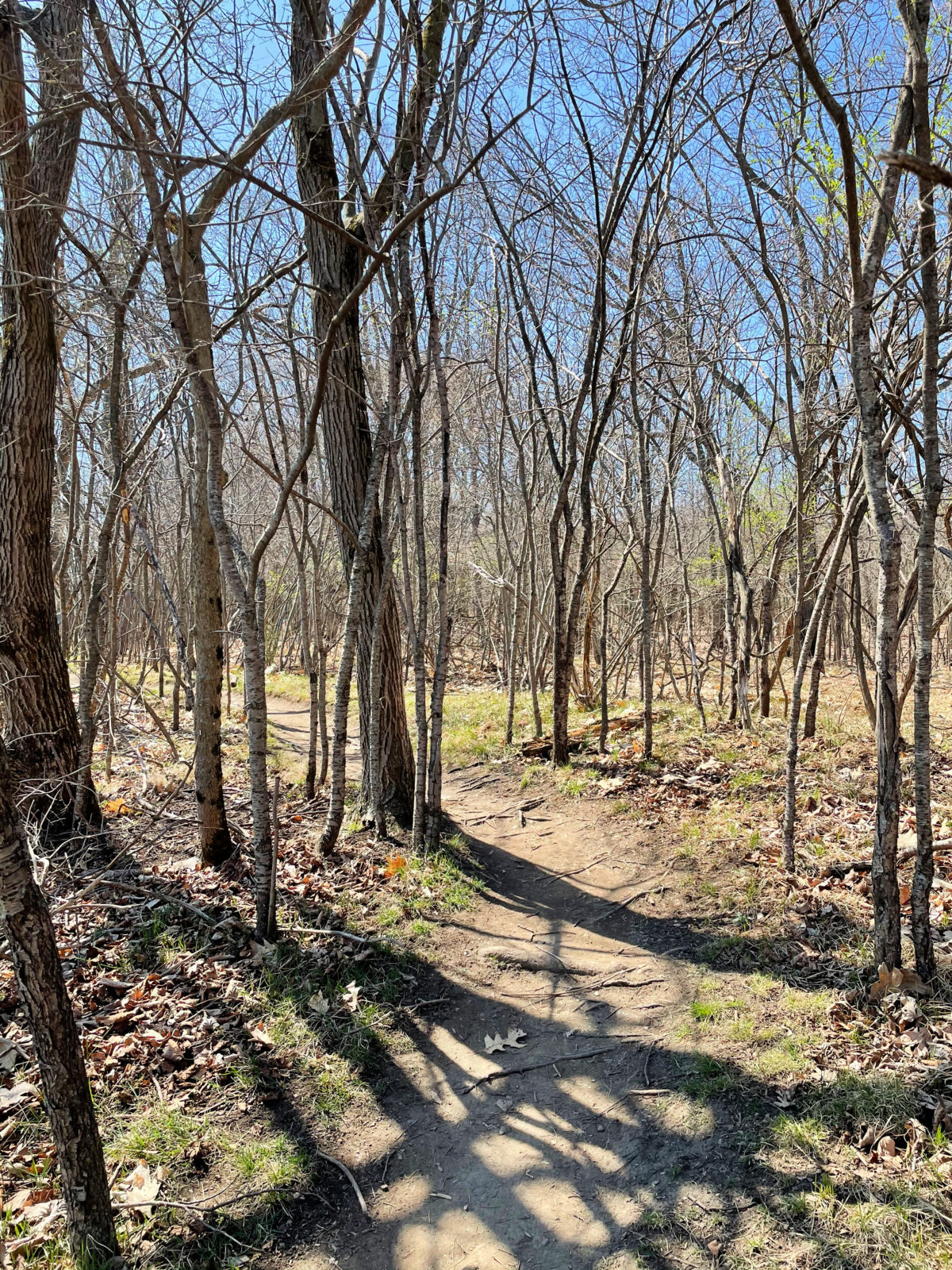 Peebles Island State Park, Cohoes, NY - A Nation of Moms