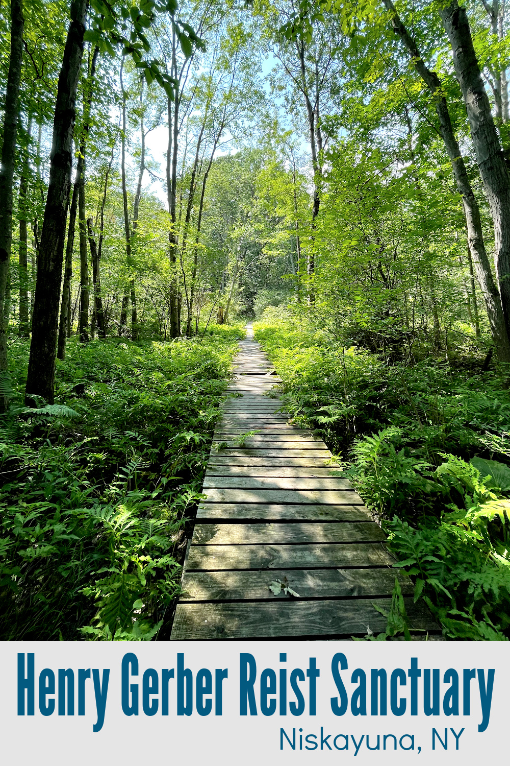 Henry Gerber Reist Sanctuary, Niskayuna, NY - A Nation of Moms