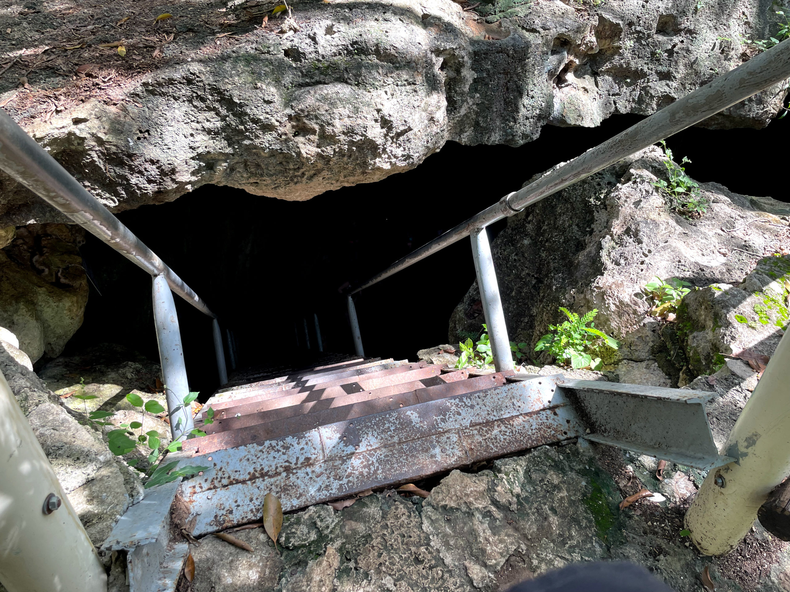 Cenotes Cuzama, Yucatan, Mexico - A Nation of Moms