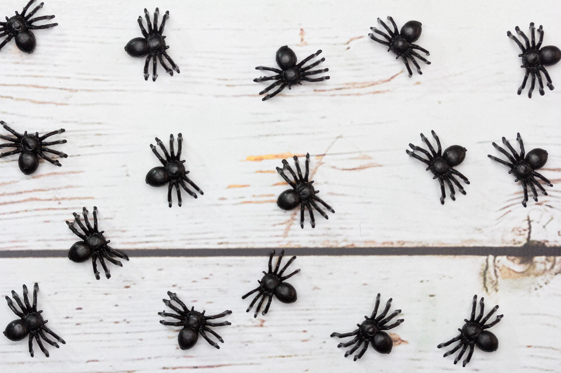 DIY Spooky Spider Egg Sac - A Nation of Moms