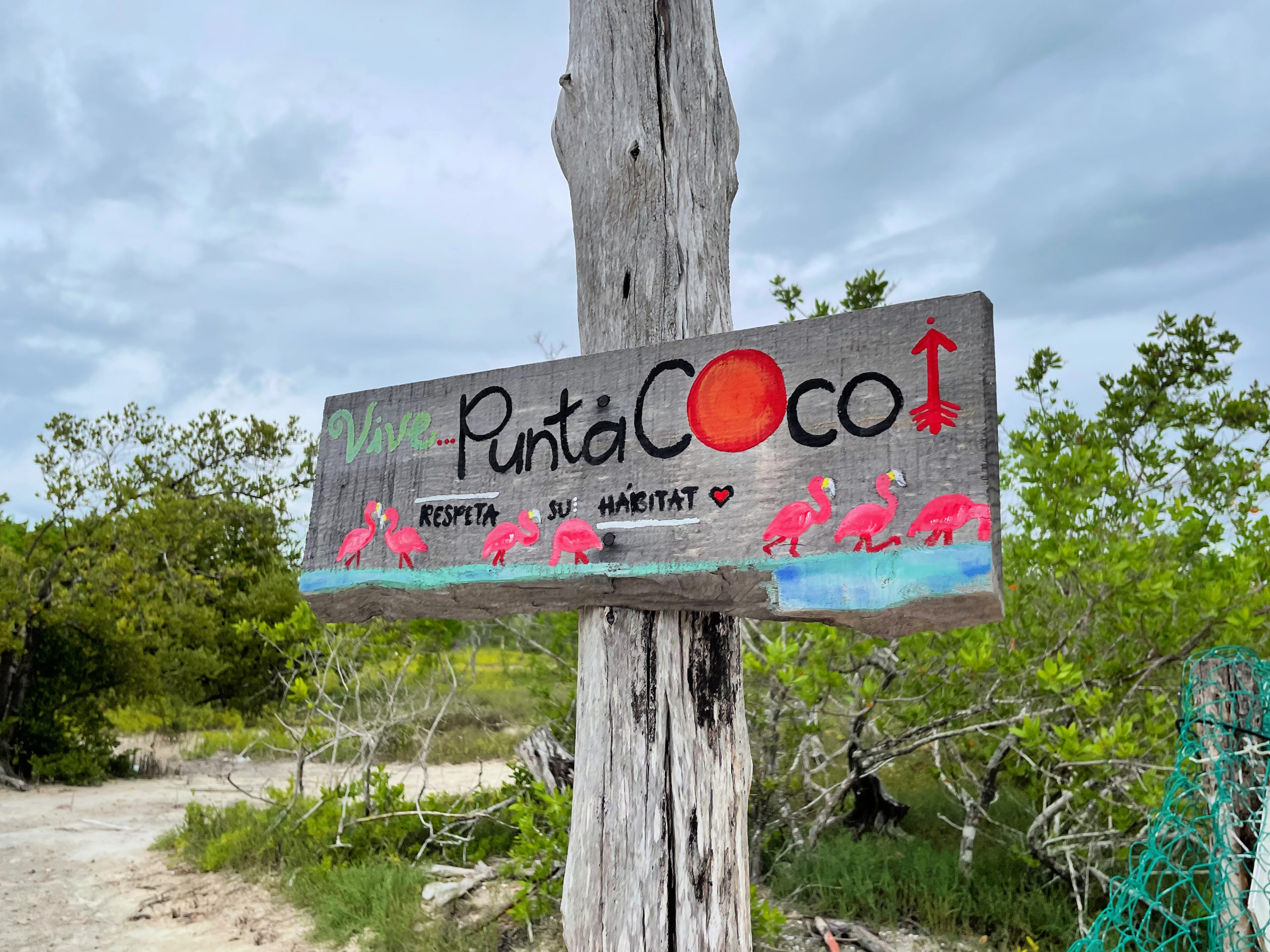 Punta Coco, Isla Holbox, Mexico - A Nation of Moms
