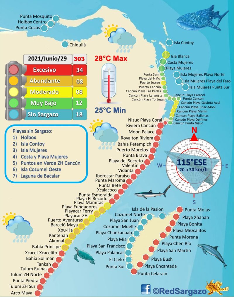 Zazil Kin Beach, Tulum, Mexico - A Nation of Moms