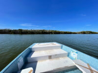 Reserva Ecológica El Corchito (Raccoon Reserve) Progreso, Mexico - A ...
