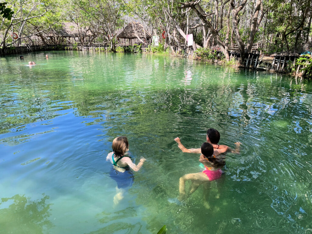 Reserva Ecológica El Corchito (Raccoon Reserve) Progreso, Mexico - A ...