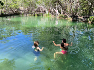Reserva Ecológica El Corchito (Raccoon Reserve) Progreso, Mexico - A ...