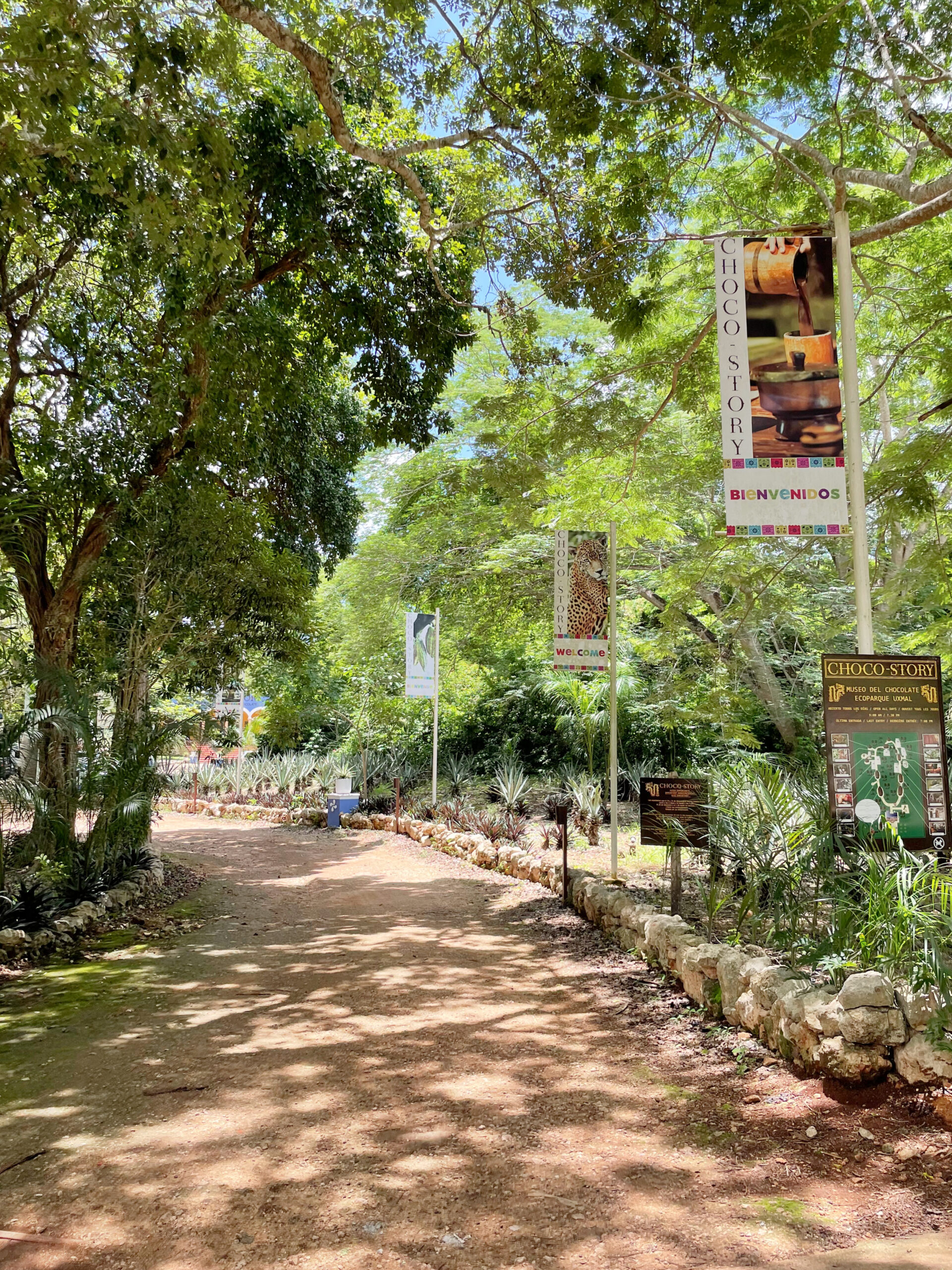 Choco Story, Uxmal, Mexico - A Nation of Moms