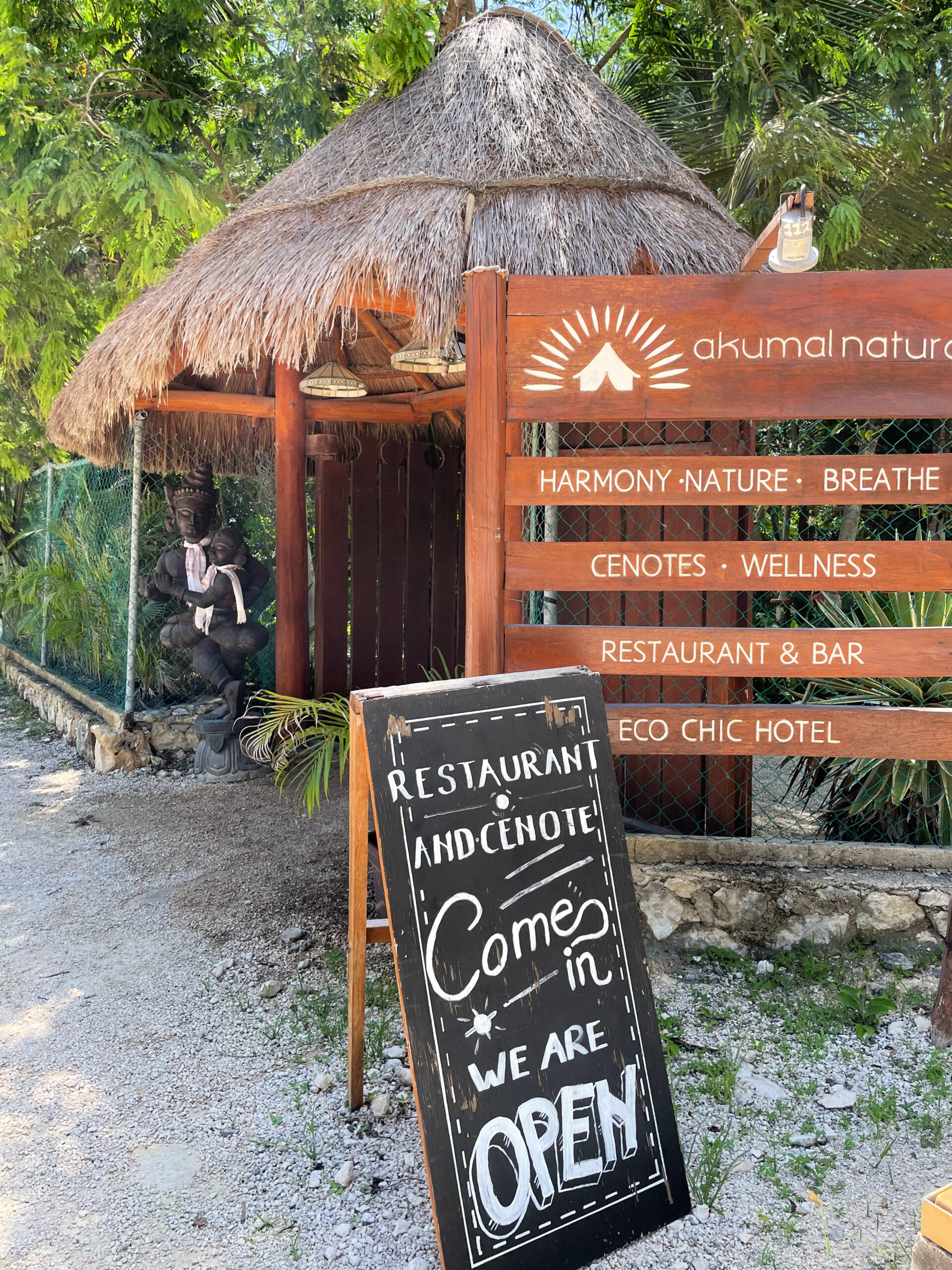 Akumal Natura Rescue Tour, Mexico - A Nation of Moms