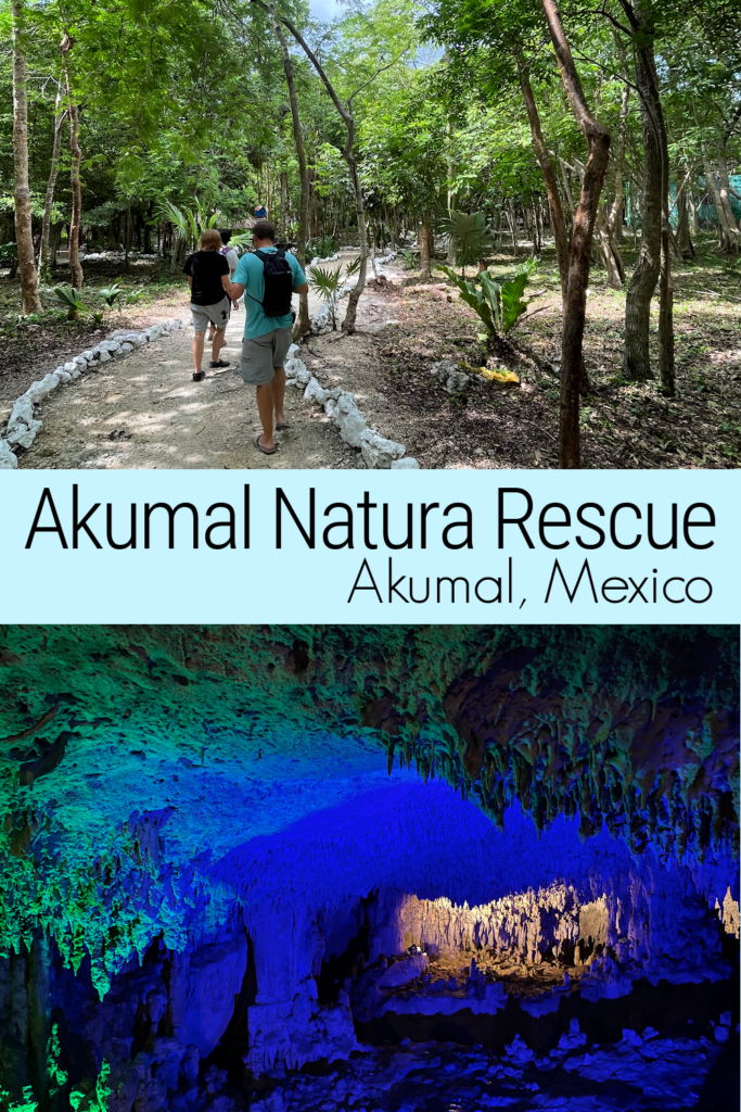 Akumal Natura Rescue Tour, Mexico - A Nation of Moms