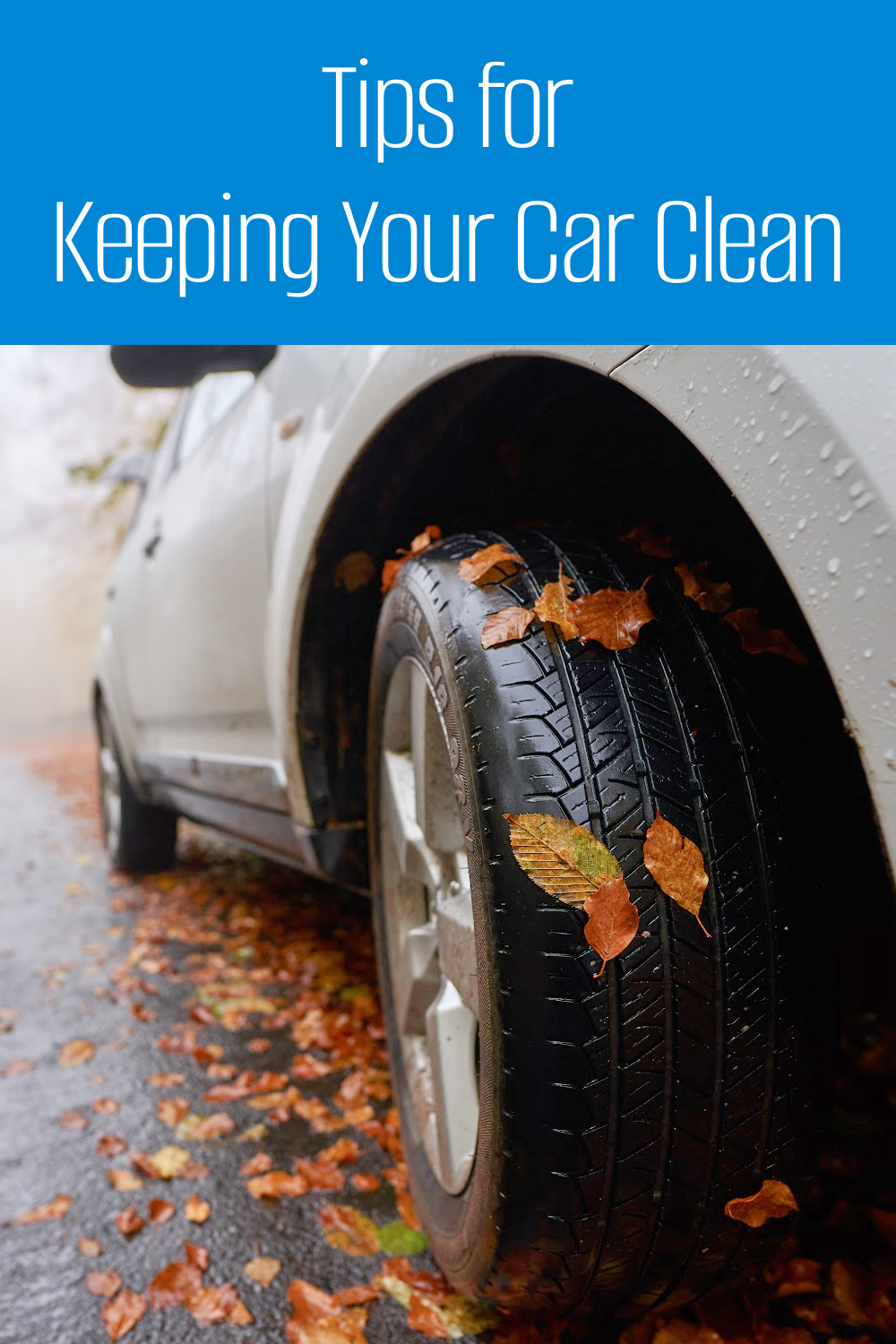 Tips for Keeping Your Car Clean - A Nation of Moms