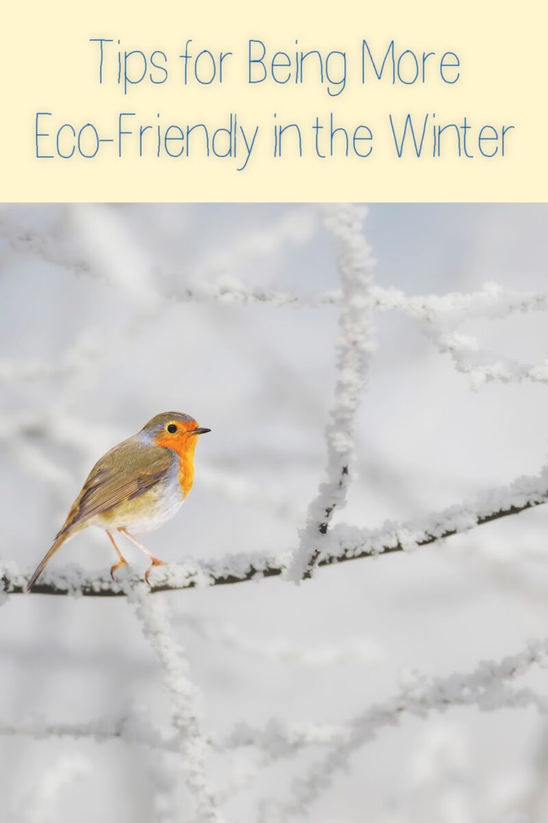 7 Simple Hacks to Live in a More Eco-Friendly Home Environment - A ...