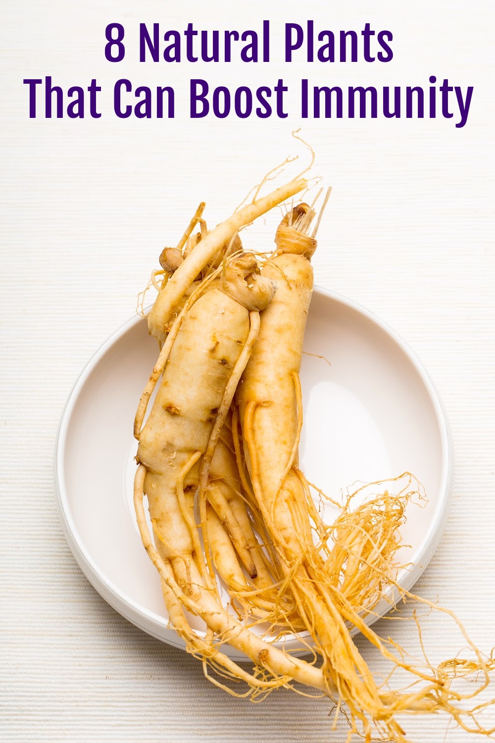 8 Natural Plants That Can Boost Immunity - A Nation of Moms