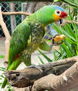 Parque Zoológico del Centenario, Merida, Mexico - A Nation of Moms
