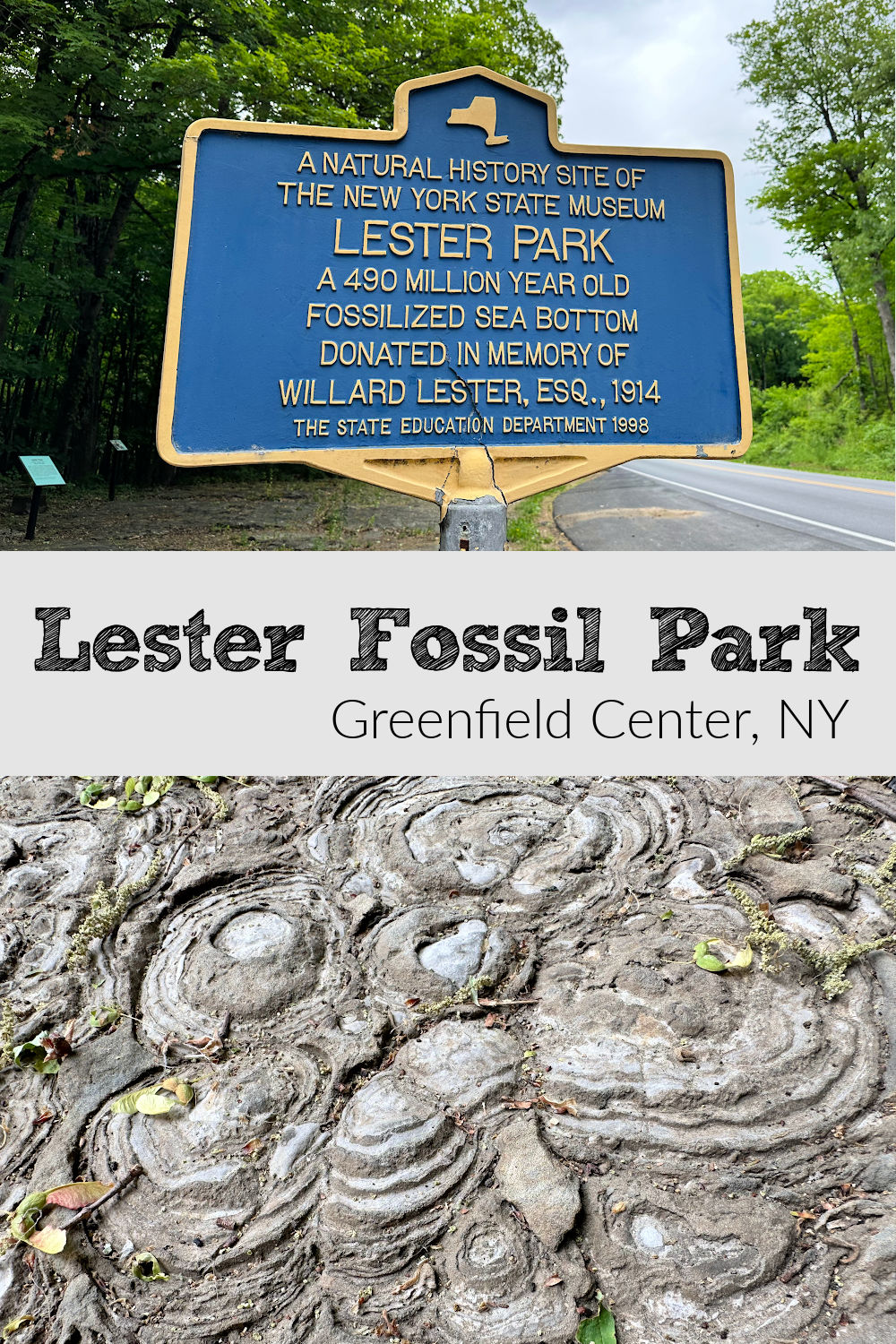 Lester Fossil Park, Greenfield Center, NY - A Nation of Moms