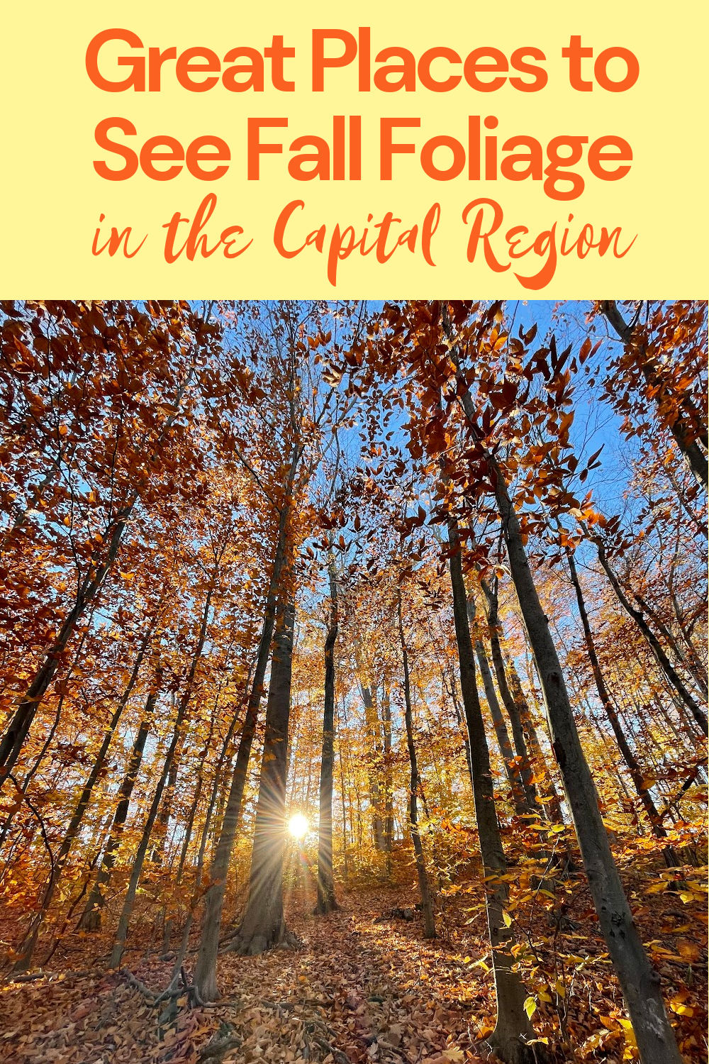 Great Spots to See Fall Foliage in the Capital Region, Albany, NY - A ...