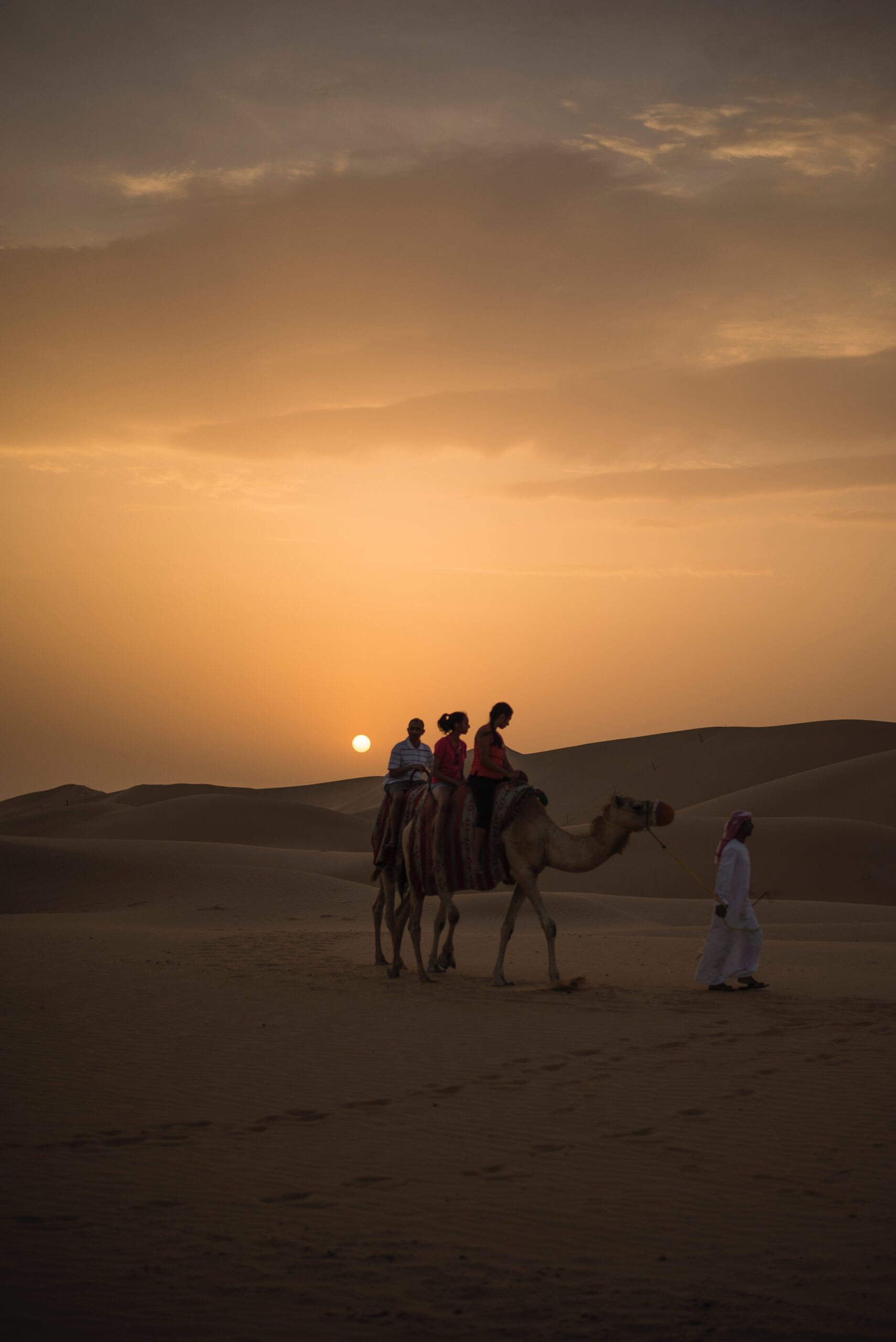 Journey into the Arabian Life: An Insider's Look at Dubai's Desert ...